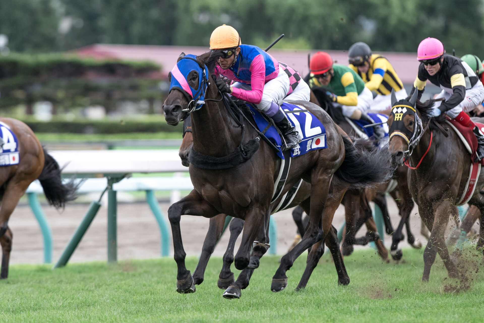【WASJ・第1戦】初戦を武豊が制する | 競馬ニュースなら競馬のおはなし