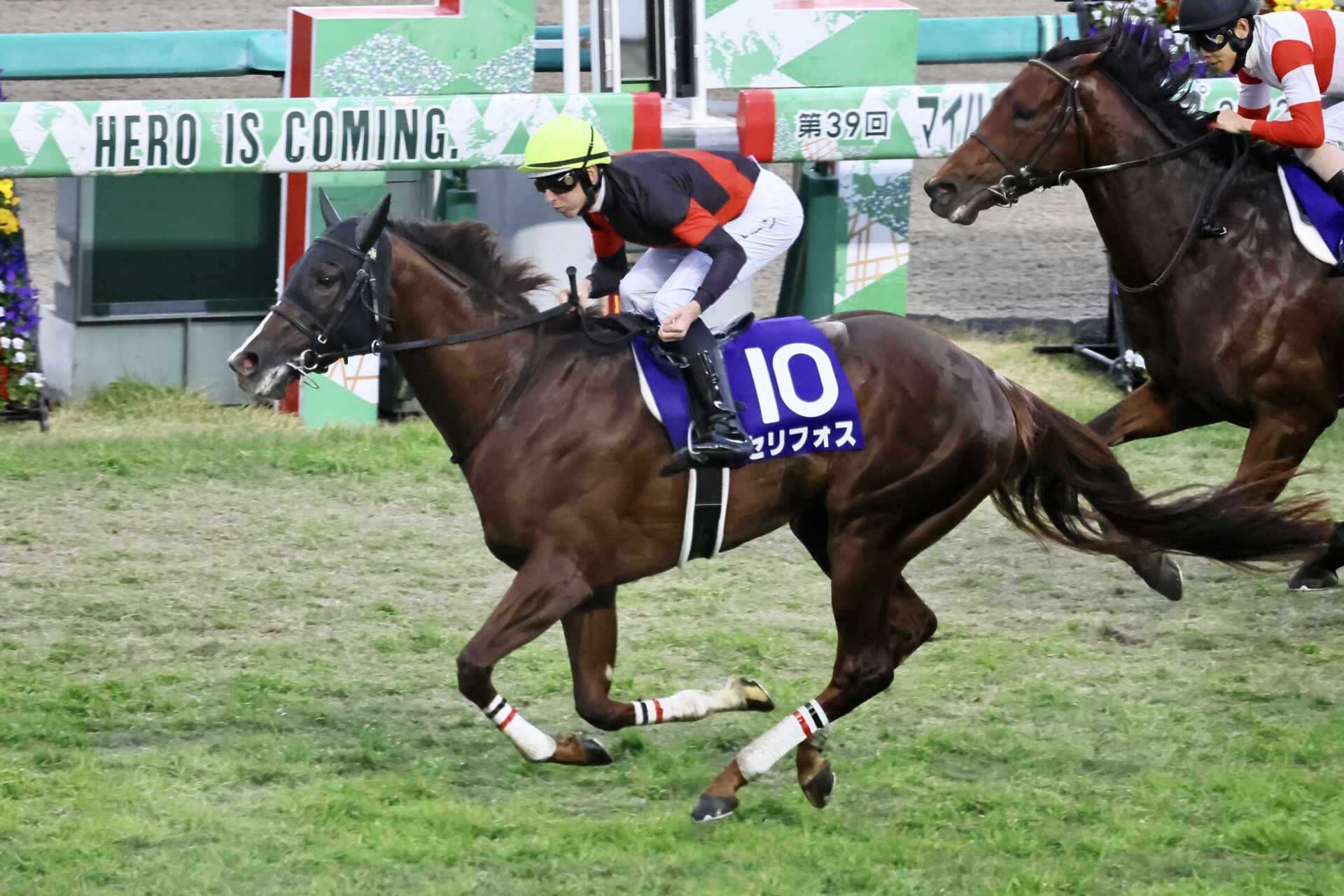 WIN5は64万円超の配当 マイルCSはセリフォスがV | 競馬ニュースなら競馬のおはなし