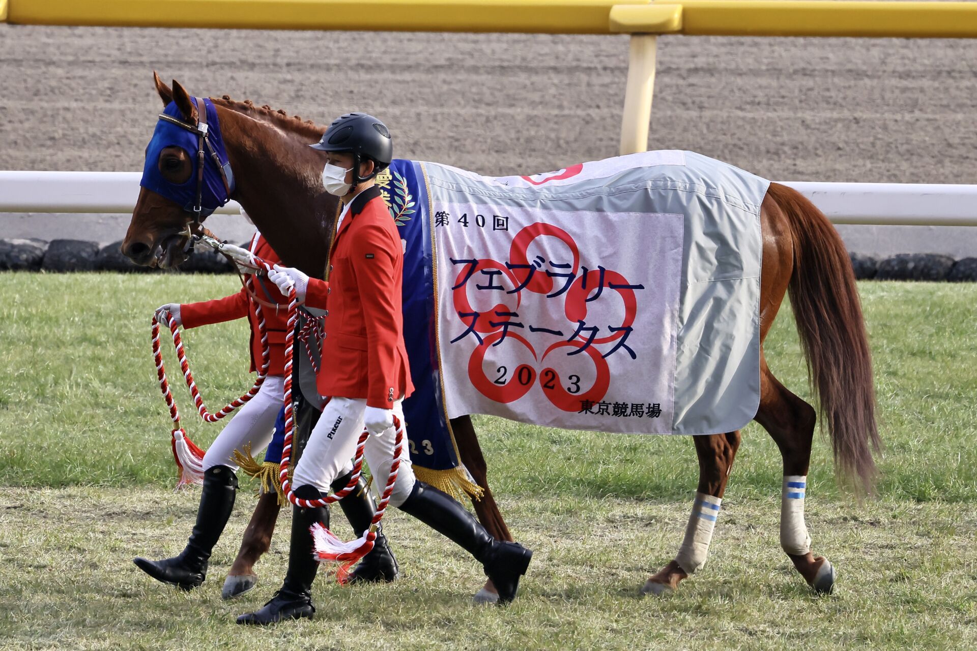 WIN5は堅調な結果…フェブラリーSはレモンポップがV | 競馬ニュースなら競馬のおはなし