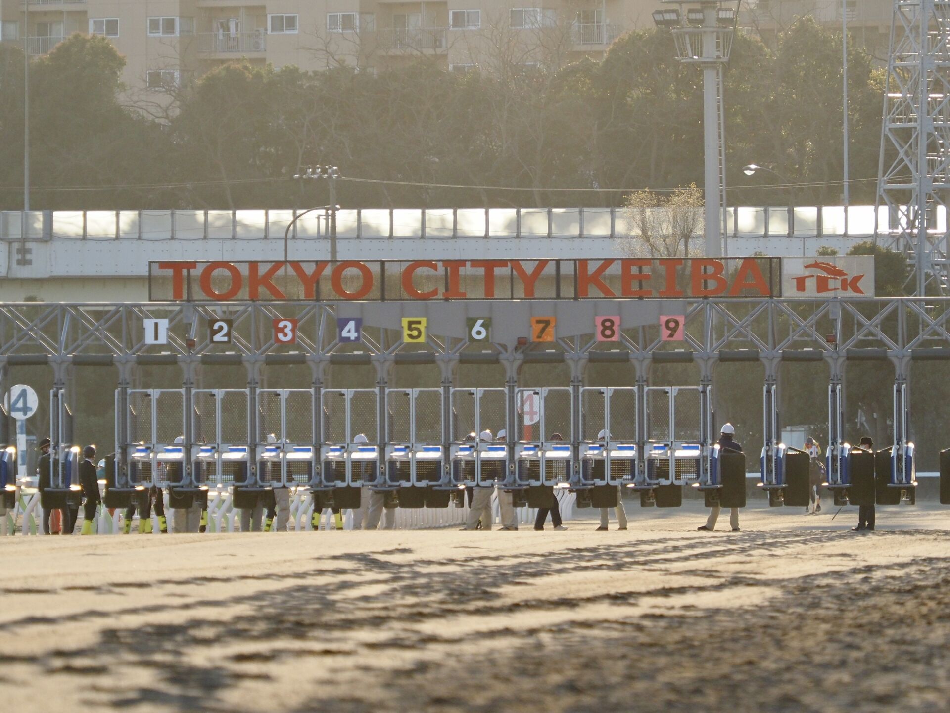 【TCK】2年連続で2000億円超えを記録…2024年度開催 | 競馬ニュースなら競馬のおはなし