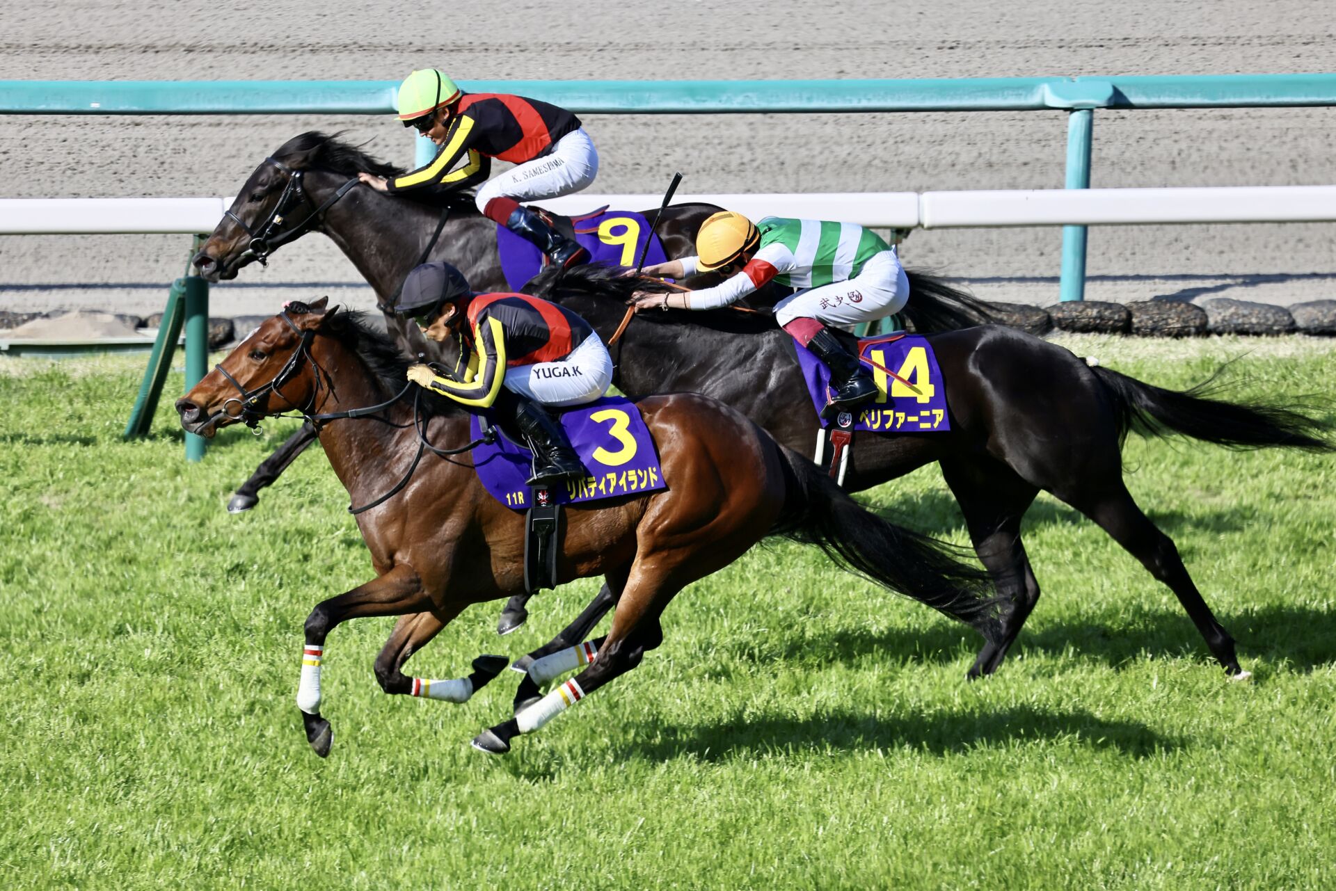 【桜花賞】川田将雅騎手ジョッキーカメラ映像が公開…レースの臨場感とジョッキー同士の会話などが話題に | 競馬ニュースなら競馬のおはなし