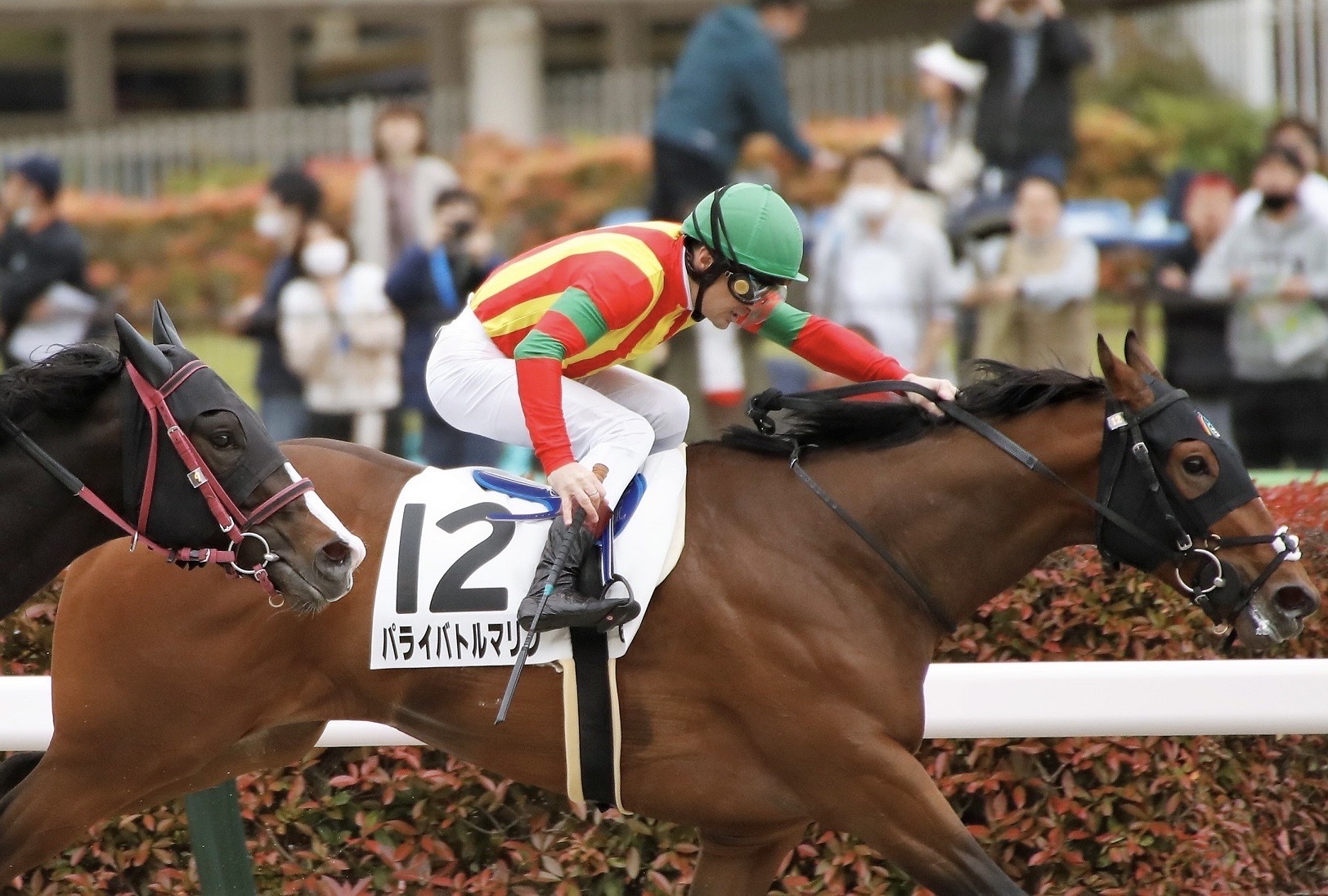 【関東オークス】JRA出走予定馬 | 競馬ニュースなら競馬のおはなし