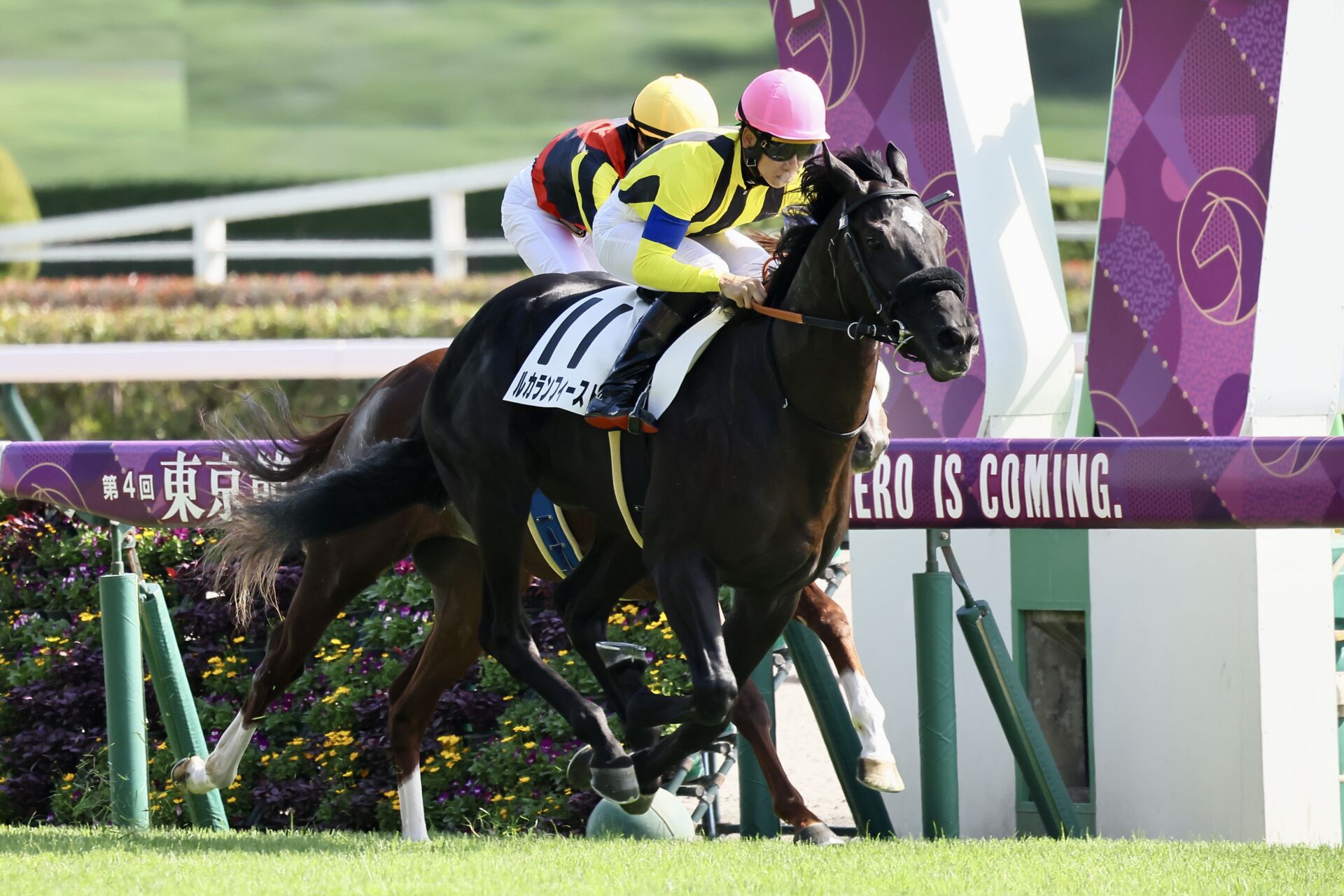 【新馬/東京5R】ルカランフィーストが抜け出す…松山騎手はJRA通算1100勝達成 | 競馬ニュースなら競馬のおはなし