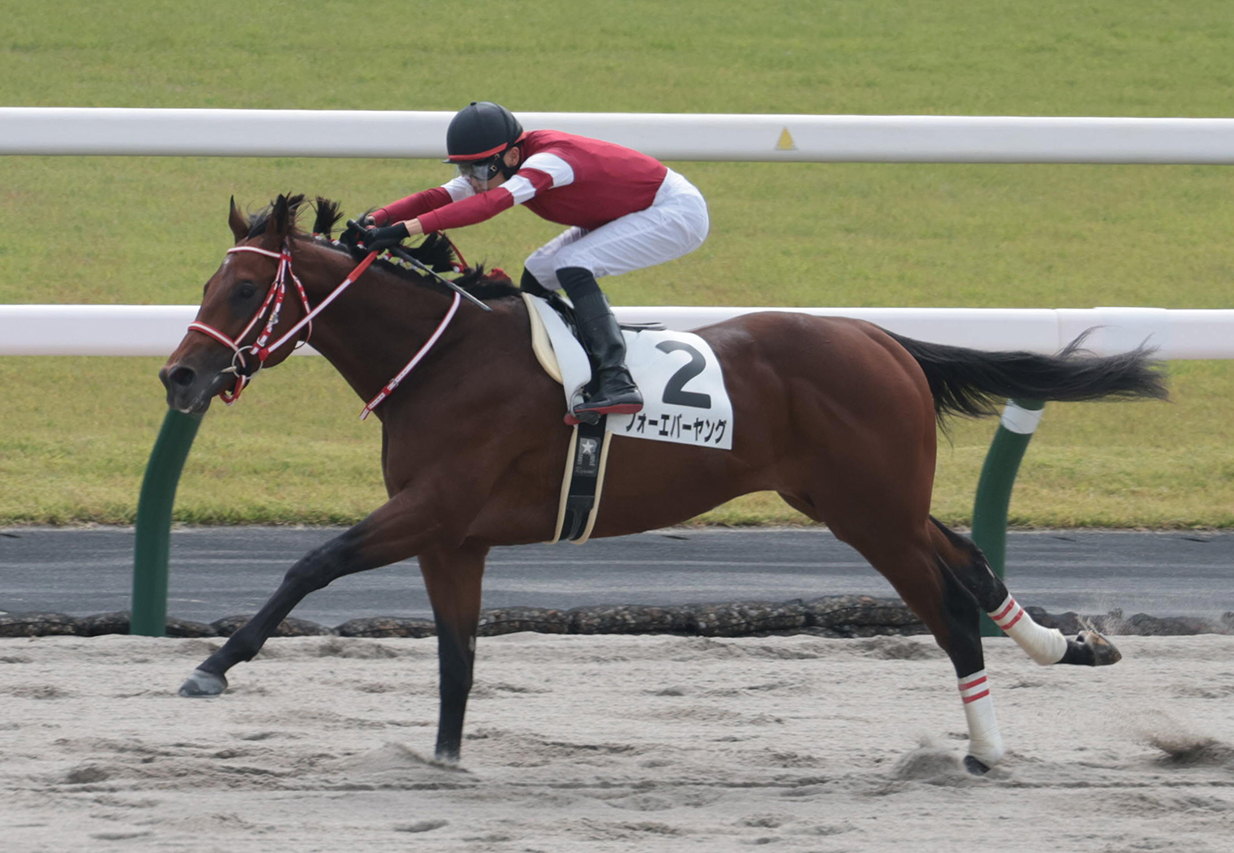 【JBC2歳優駿】JRA出走予定馬 | 競馬ニュースなら競馬のおはなし