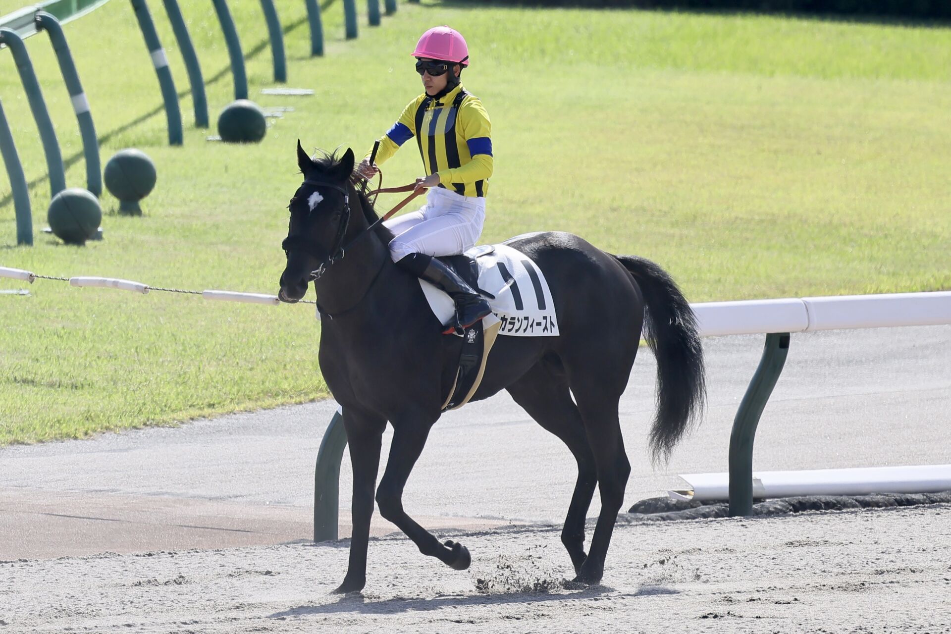 松山弘平騎手 JRA通算1100勝達成！…「素直に嬉しい気持ちと沢山の方に感謝」 | 競馬ニュースなら競馬のおはなし