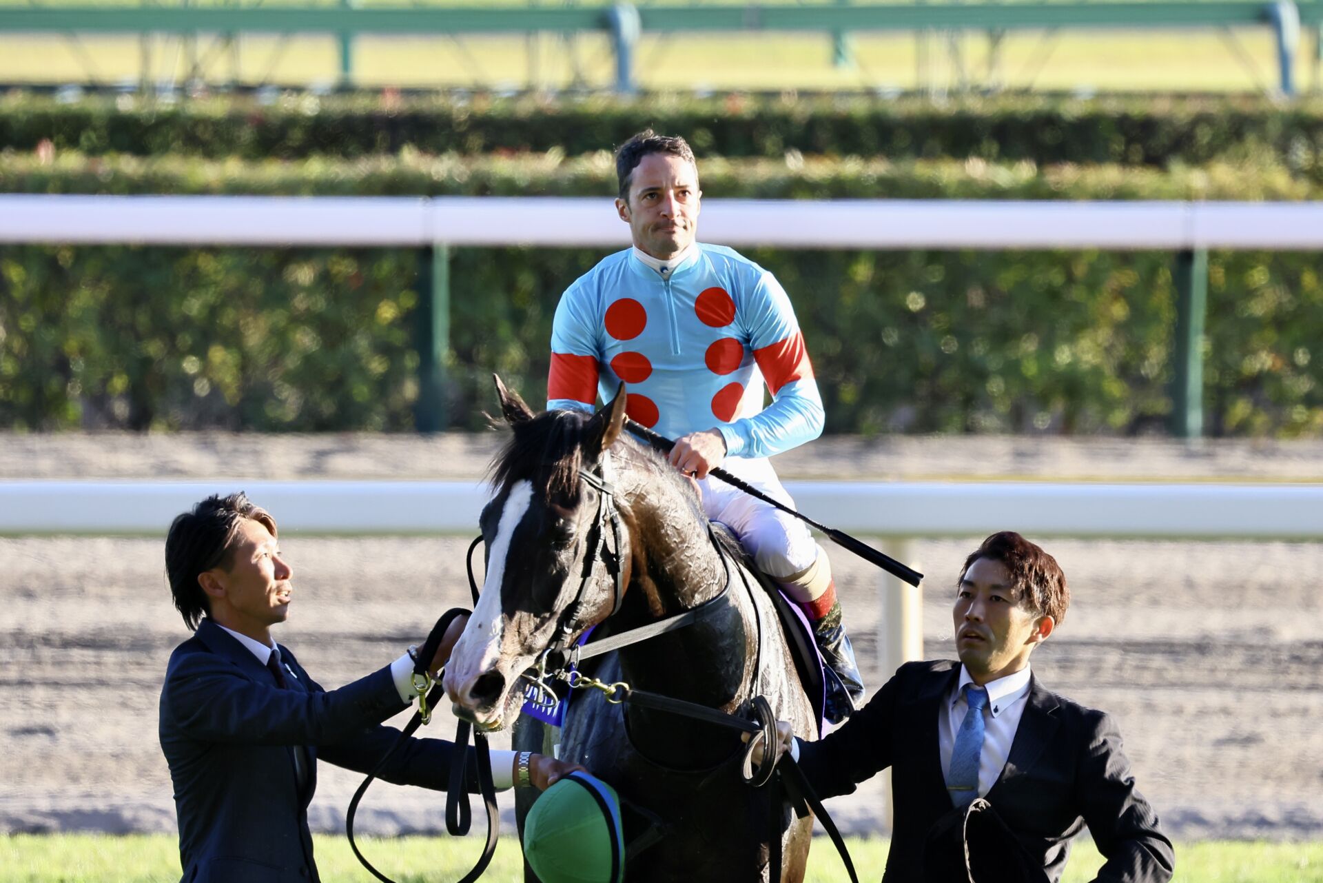 WIN5は356万円超の払戻し…天皇賞・秋はイクイノックスが圧勝 | 競馬ニュースなら競馬のおはなし