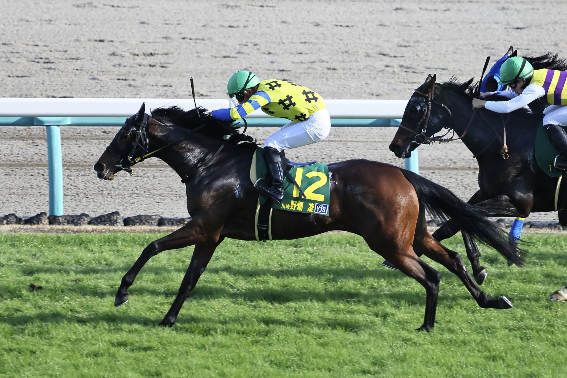 【ヤングJSFR中山1】川崎競馬若手のホープ、野畑凌が鮮やかな差し切り…「気持ちで負けないように追いました」 | 競馬ニュースなら競馬のおはなし