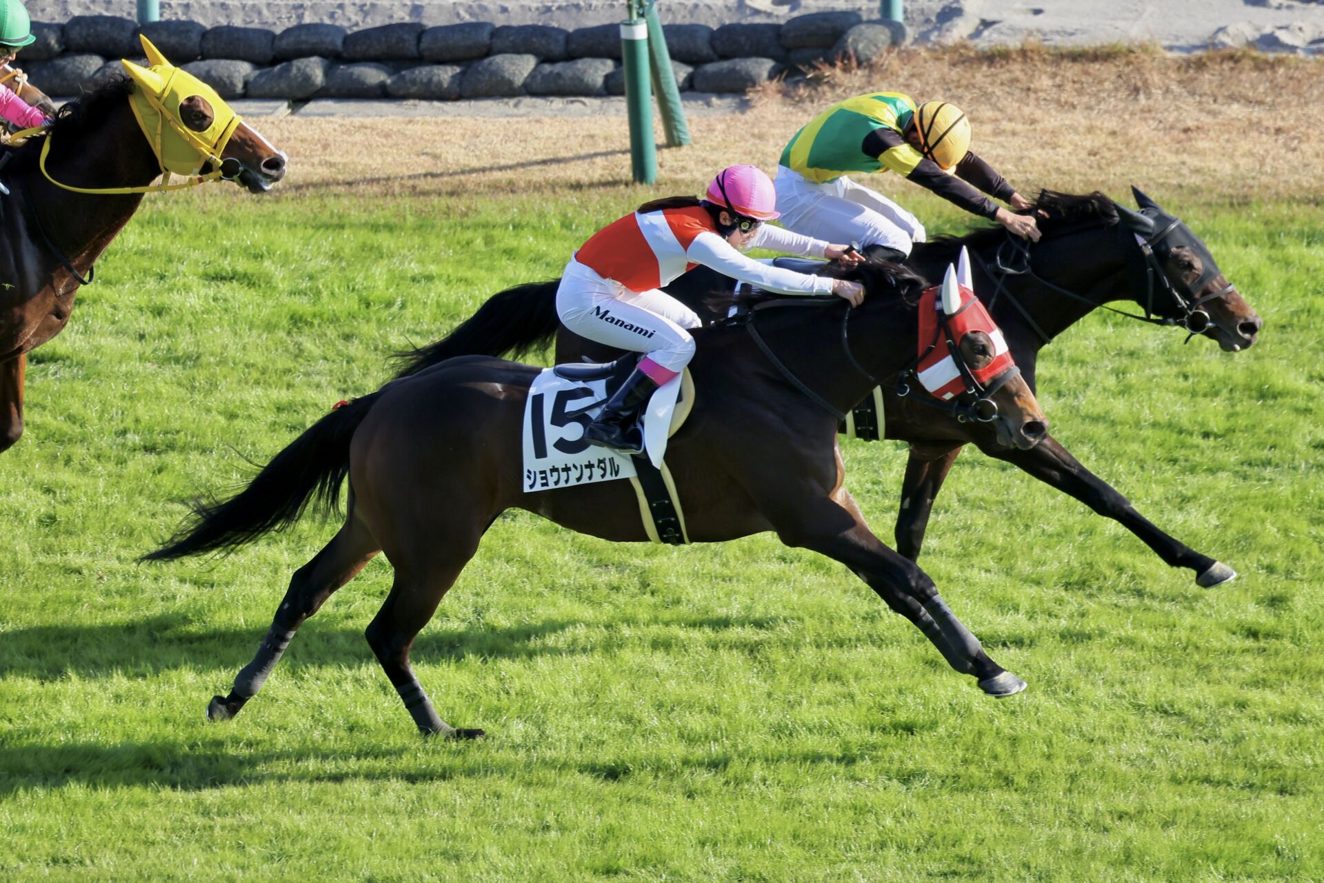 永島まなみが今年JRA・46勝…女性ジョッキー結果 | 競馬ニュースなら競馬のおはなし