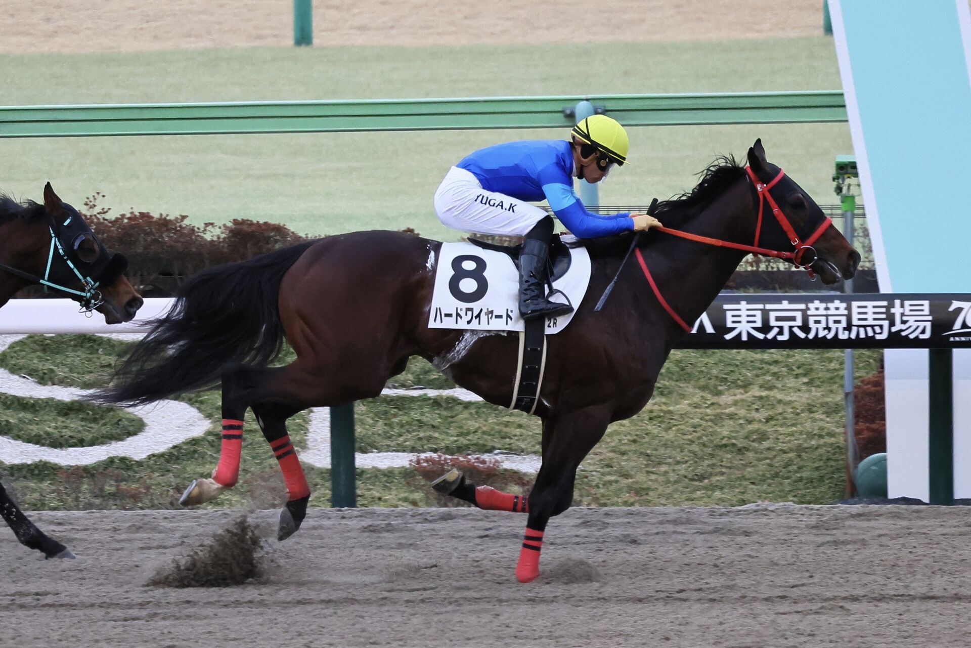 【東京12R】川田将雅騎手がJRA通算2000勝を達成…ハードワイヤードで抜け出す | 競馬ニュースなら競馬のおはなし