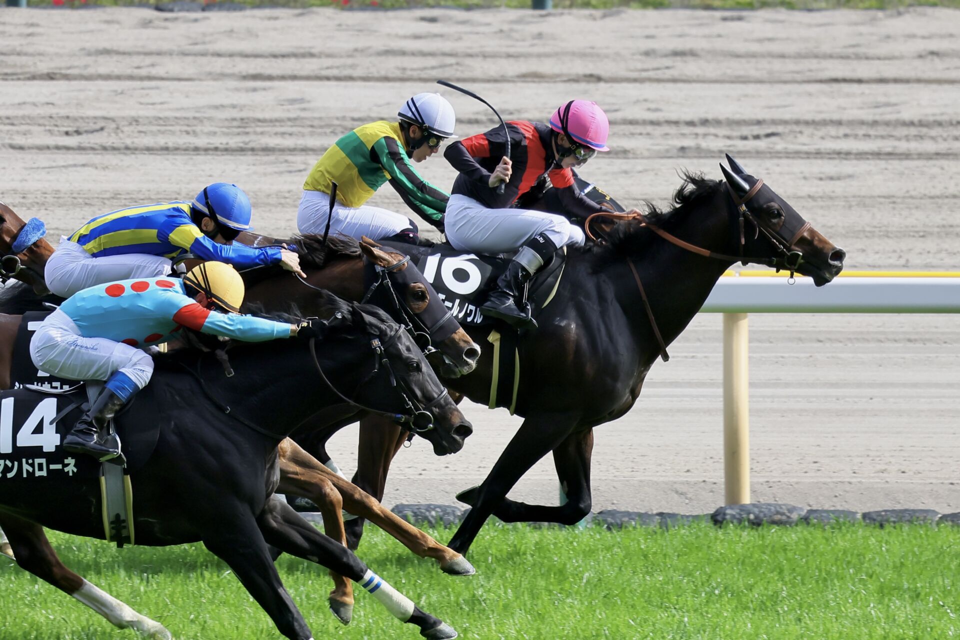 【湘南S】リュミエールノワルが3連勝でオープン入り | 競馬ニュースなら競馬のおはなし