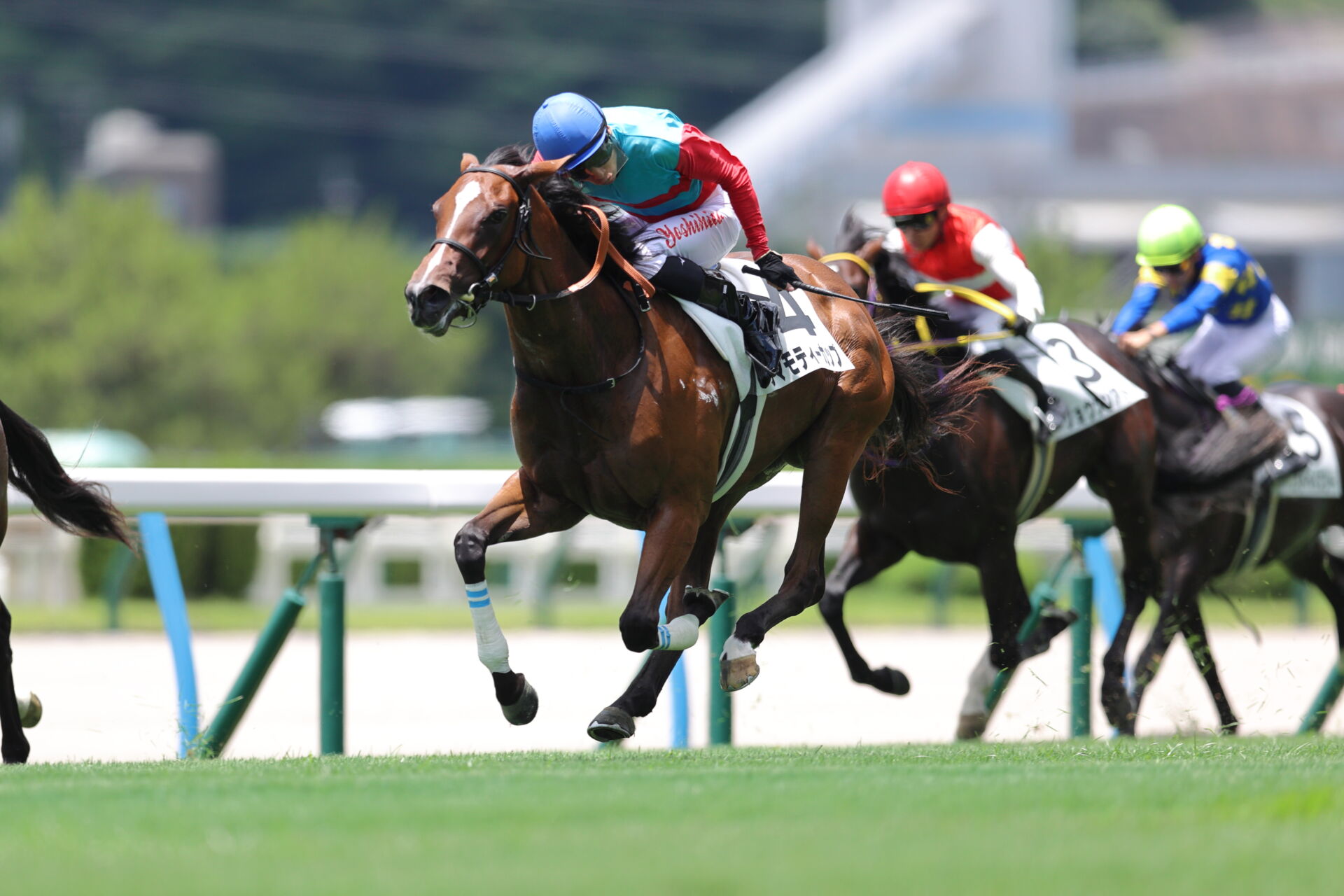 【新馬/小倉5R】タマモティーカップが差し切る | 競馬ニュースなら競馬のおはなし