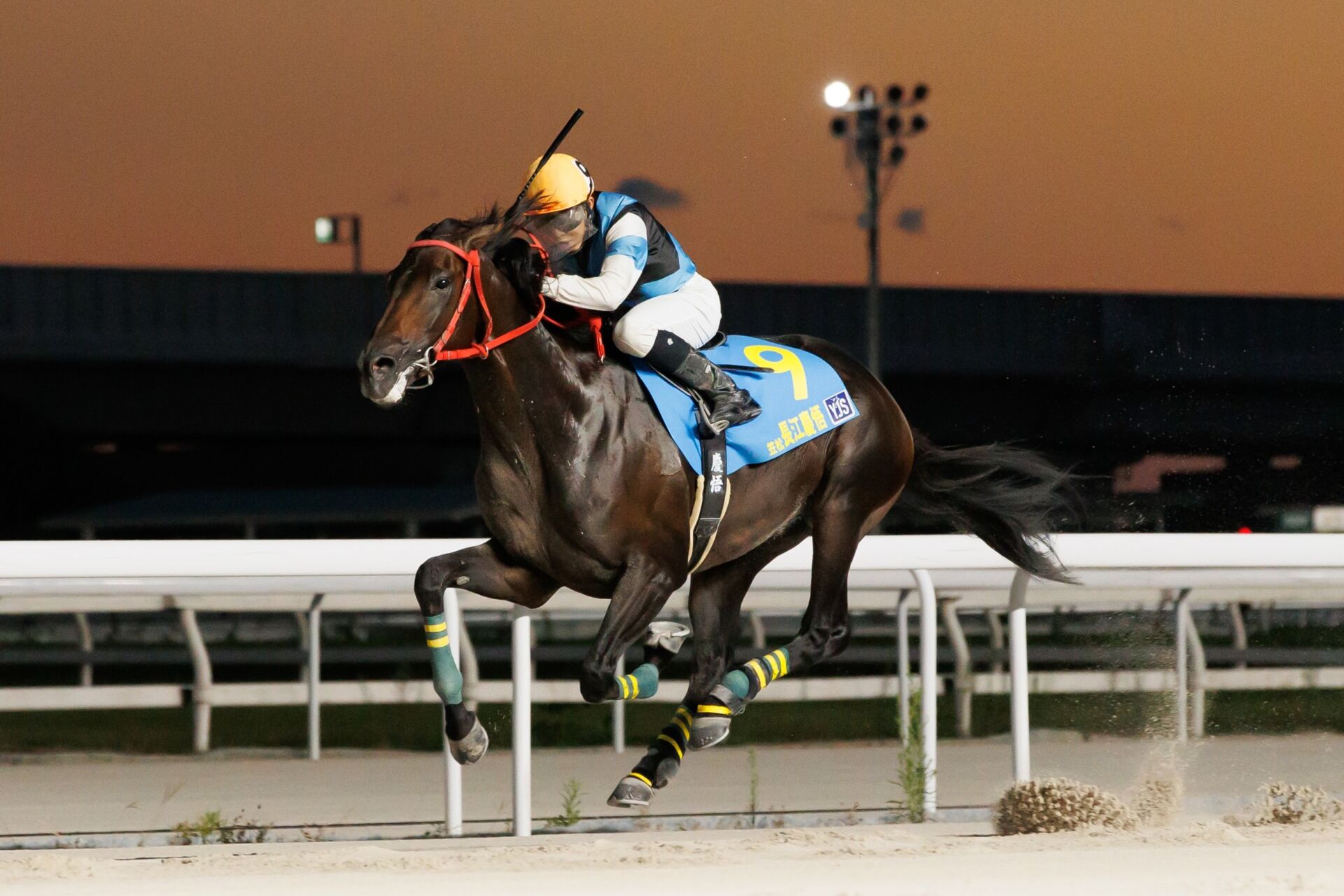 【YJS名古屋】JRA橋木太希、地方望月洵輝が暫定1位 | 競馬ニュースなら競馬のおはなし