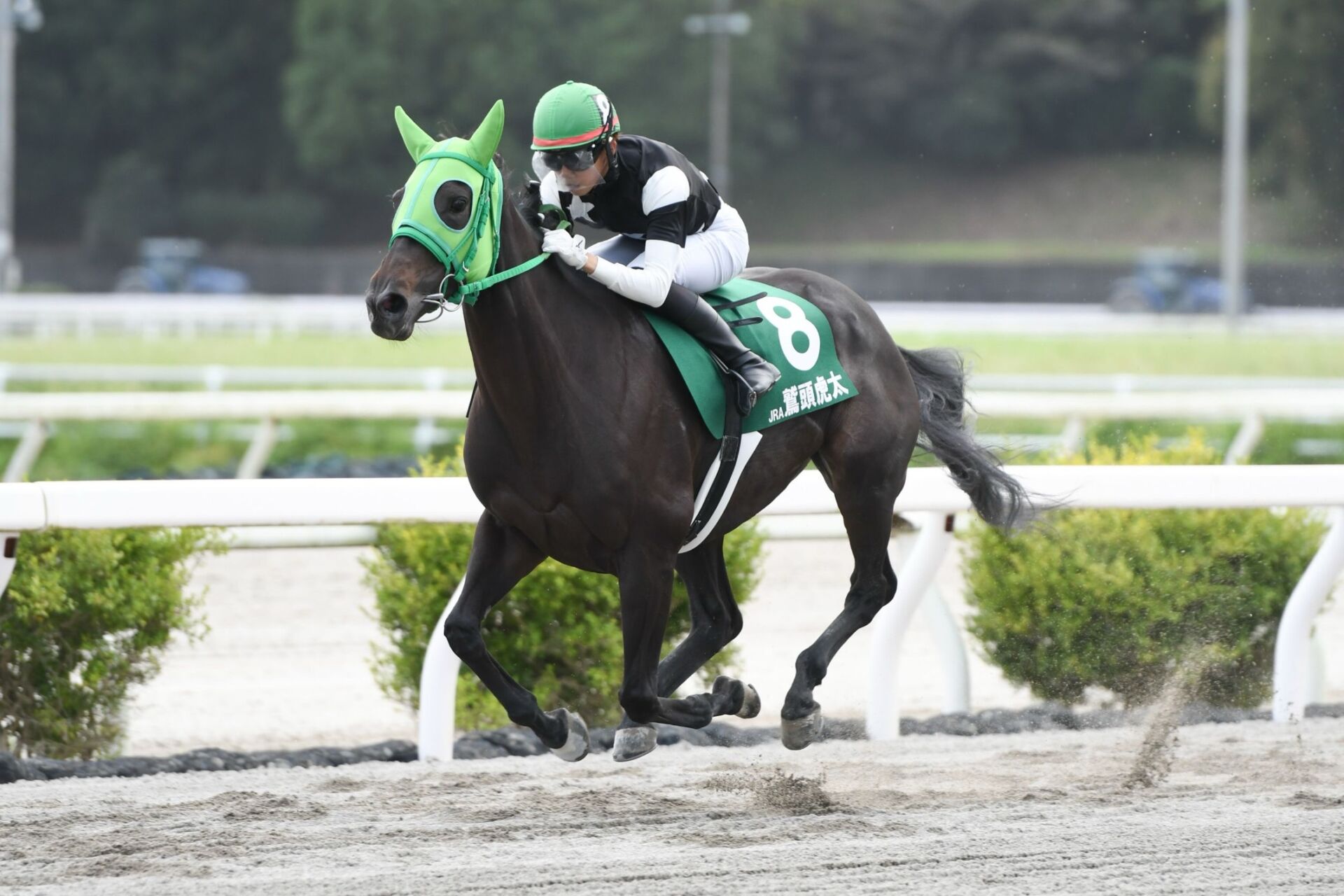 【YJS高知】JRA橋木太希、地方長江慶悟が暫定1位 | 競馬ニュースなら競馬のおはなし