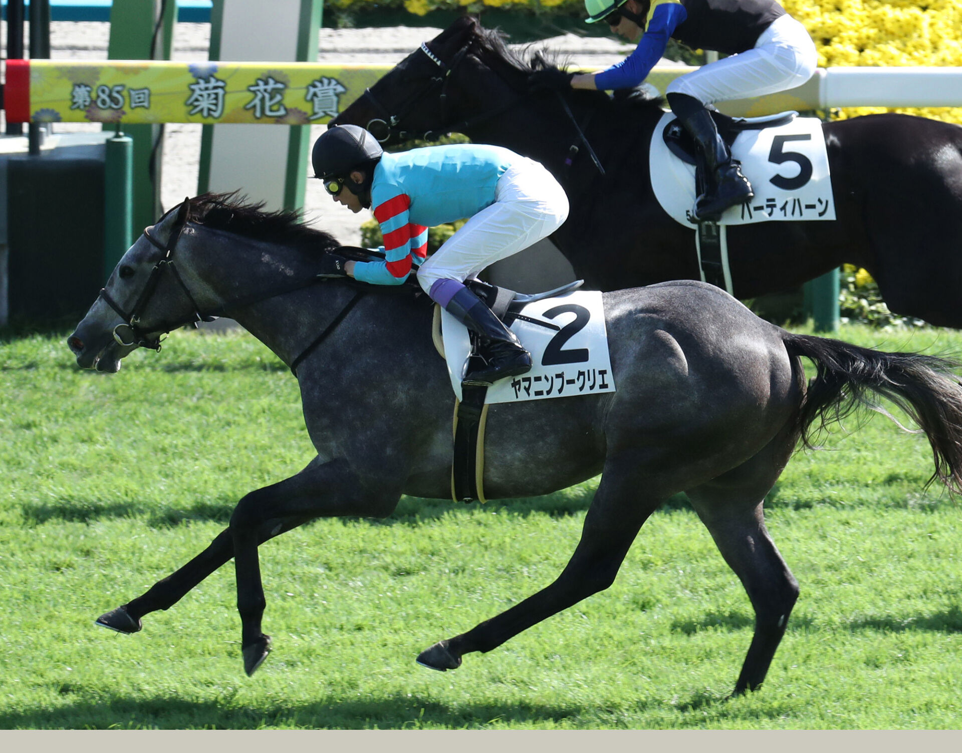 【ホープフルS】JRA・G1完全制覇がかかる武豊騎手は4枠7番ヤマニンブークリエとのコンビ | 競馬ニュースなら競馬のおはなし