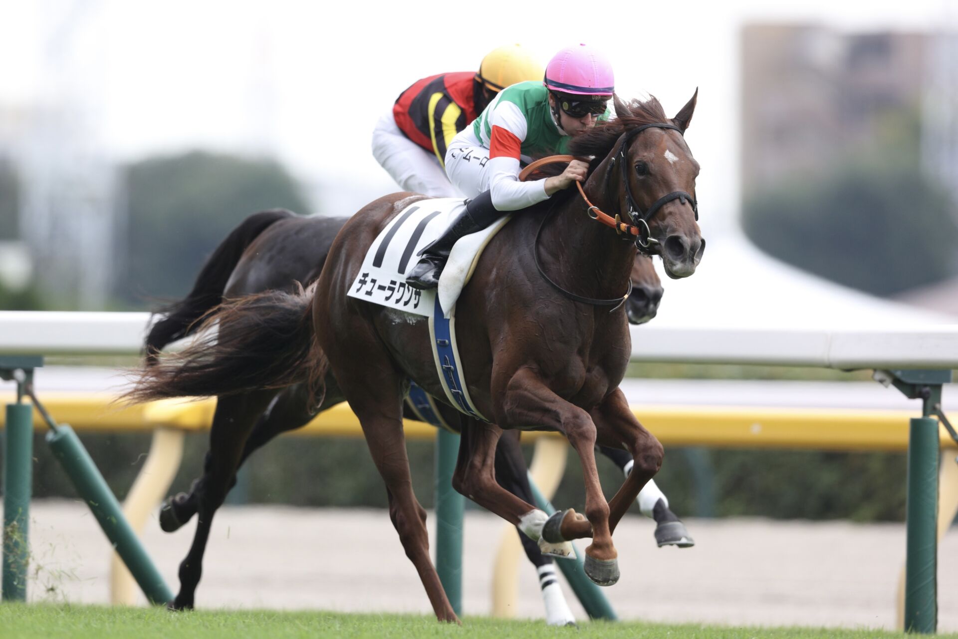 【東京3R】チューラワンサが初勝利…C.デムーロ騎手はJRA通算200勝を達成 | 競馬ニュースなら競馬のおはなし