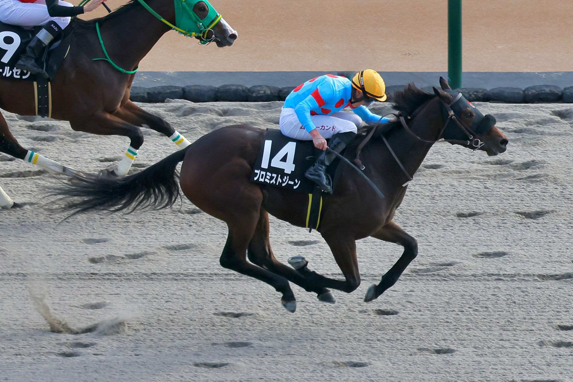 【マリーンC】プロミストジーンなどJRA馬は4頭 | 競馬ニュースなら競馬のおはなし