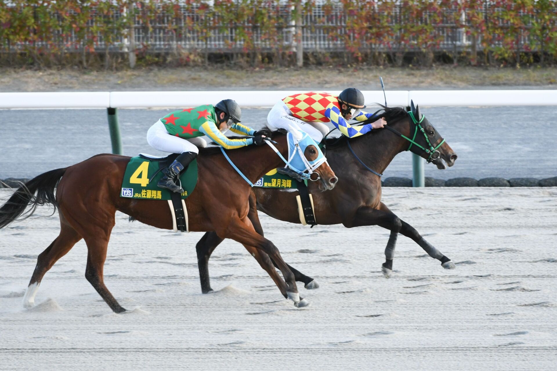 【YJSファイナルラウンド中京2戦】名古屋所属・望月洵輝騎手が2戦目を制する…15番人気馬で波乱を演出 | 競馬ニュースなら競馬のおはなし