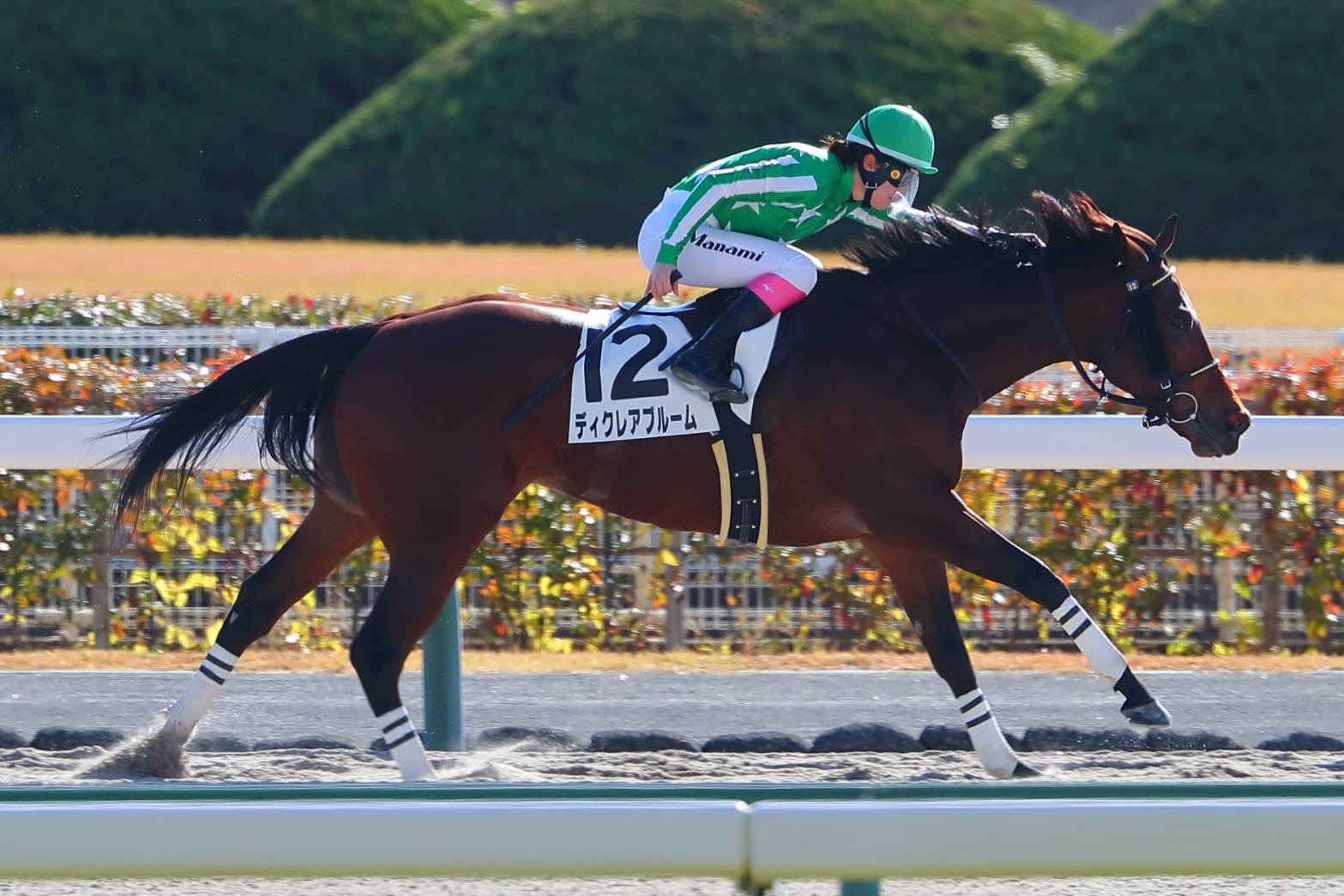 【中京2R】永島まなみ騎乗 ディクレアブルームが抜け出す | 競馬ニュースなら競馬のおはなし