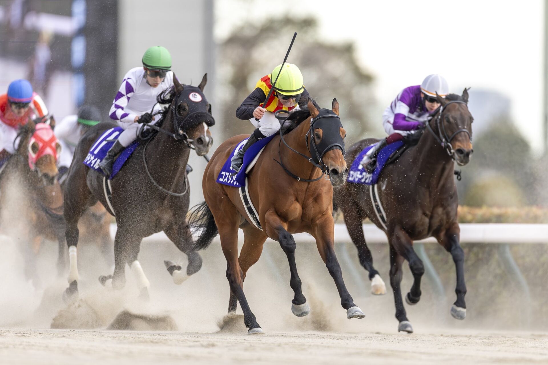 【フェブラリーS】レイチェル・キング騎乗 コスタノヴァがV…女性ジョッキー初のJRA平地G1制覇 | 競馬ニュースなら競馬のおはなし