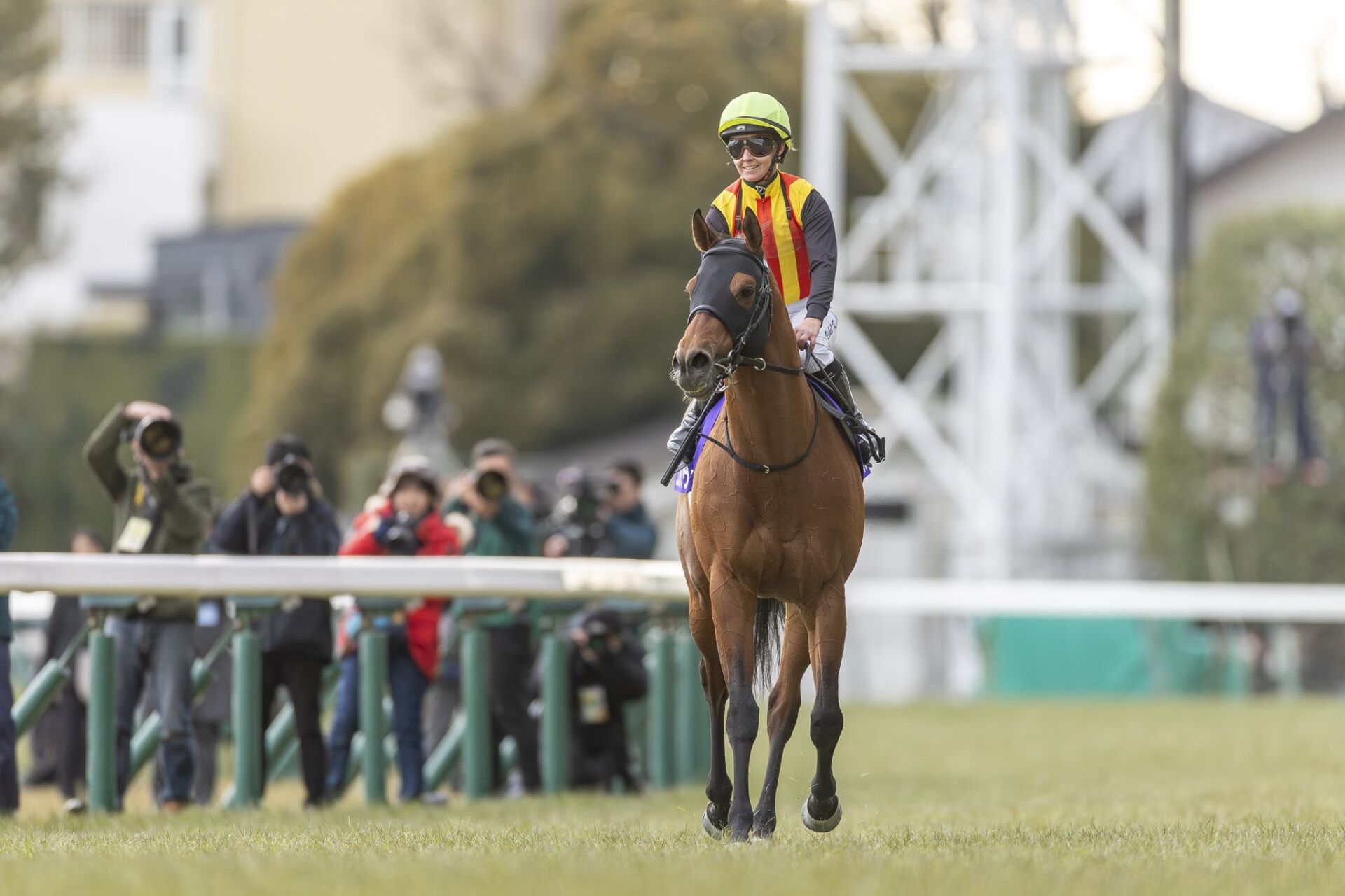 【フェブラリーS】レイチェル・キング騎乗 コスタノヴァがV…女性ジョッキー初のJRA平地G1制覇 | 競馬ニュースなら競馬のおはなし