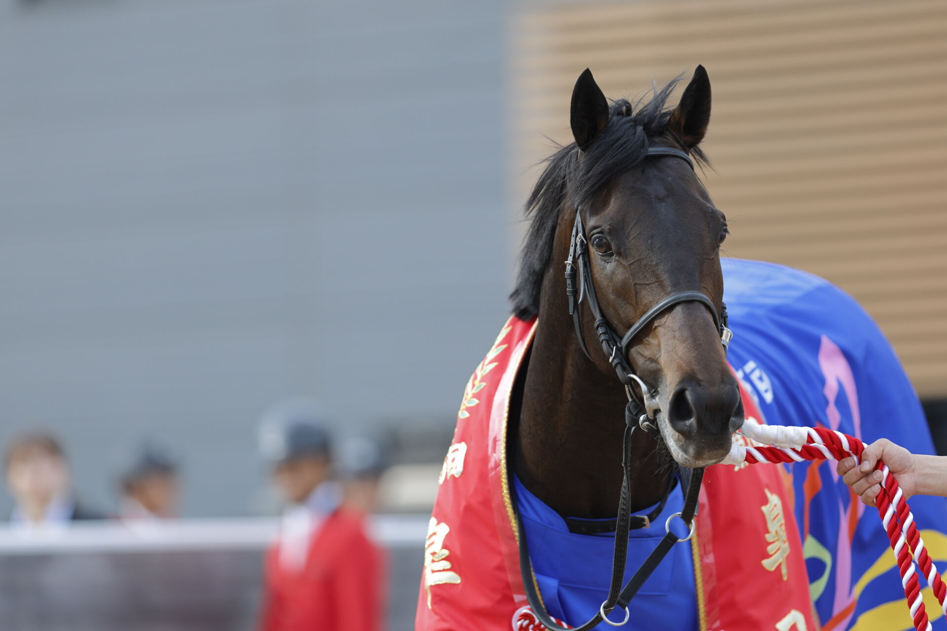 WIN5は34万円超の払戻し…皐月賞はミュージアムマイルが快勝 | 競馬ニュースなら競馬のおはなし