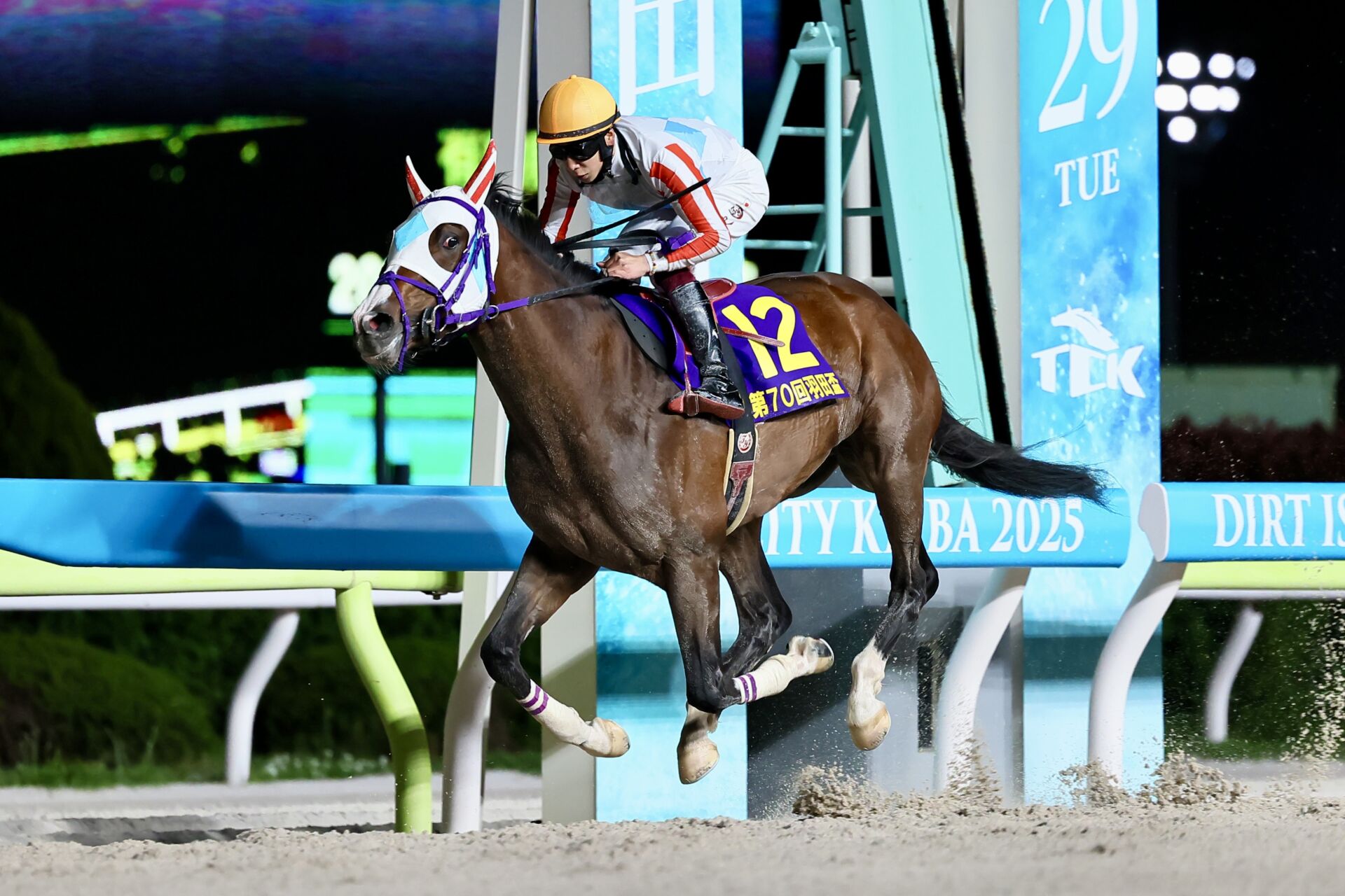 【東京ダービー】ナチュラルライズなどJRA馬4頭…出走予定馬 | 競馬ニュースなら競馬のおはなし