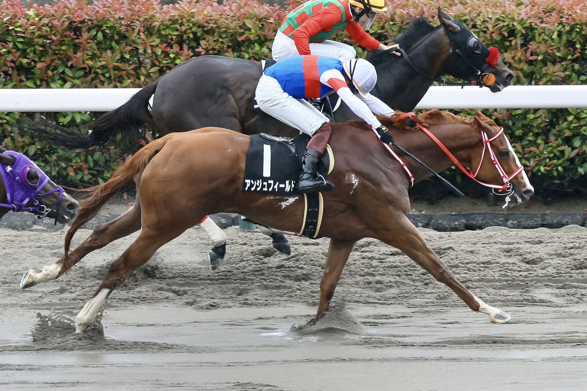 三浦皇成騎手 JRA通算1100勝達成 | 競馬ニュースなら競馬のおはなし