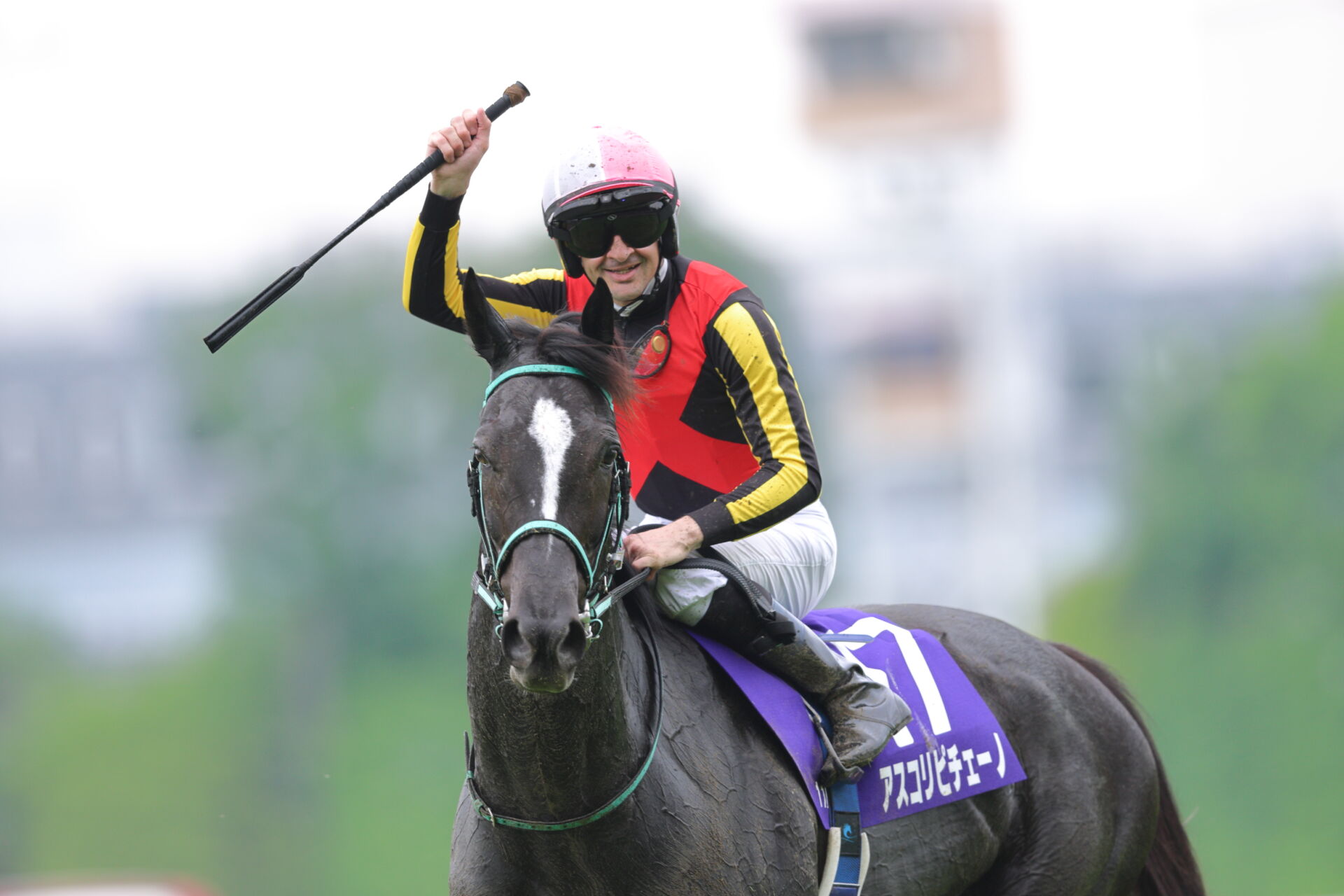 【仏ジャックルマロワ賞】日本勢2頭が挑むフランスG1…JRAが馬券発売へ | 競馬ニュースなら競馬のおはなし