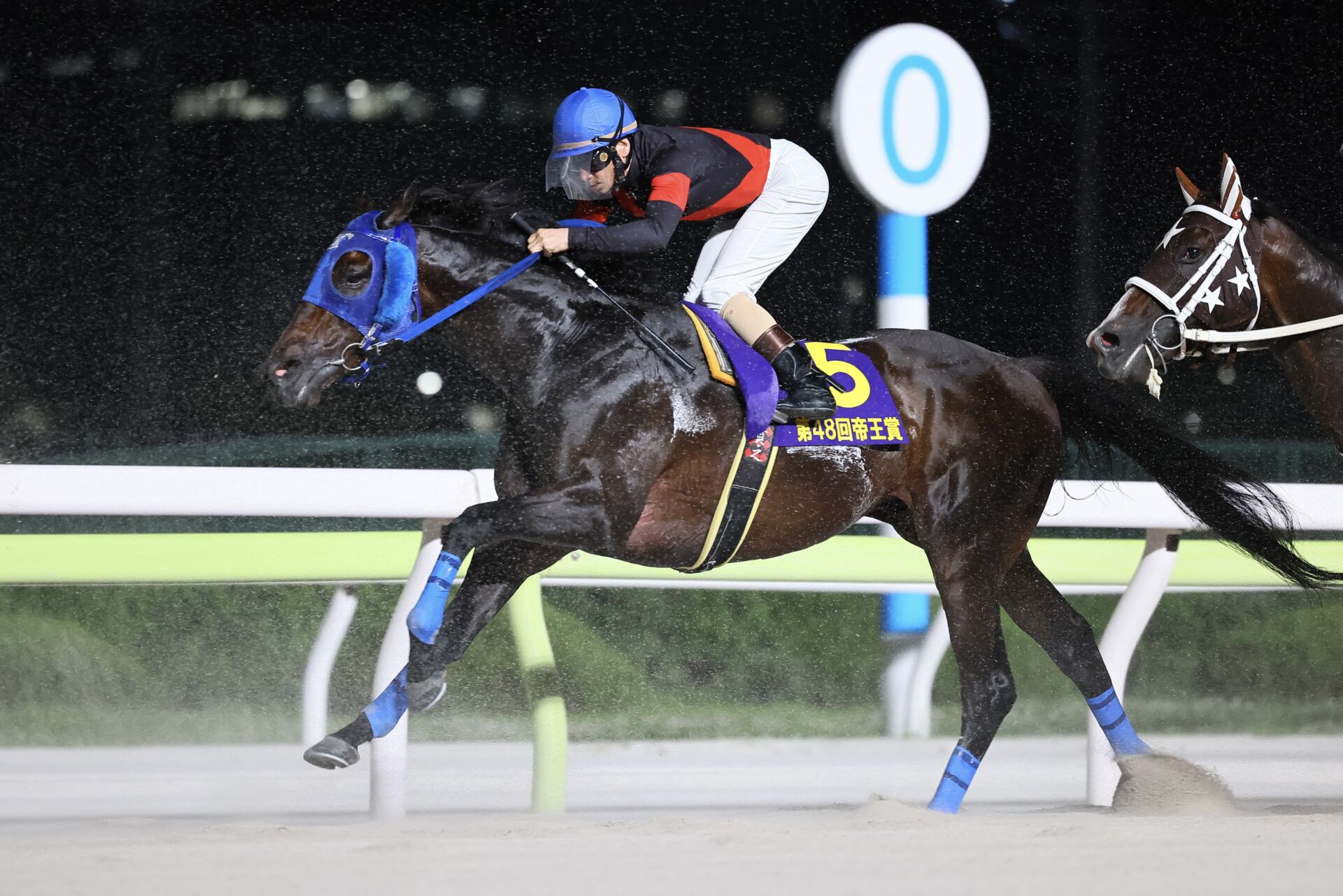 【TCK】ディクテオン、韓国G3コリアカップ招待受諾 | 競馬ニュースなら競馬のおはなし