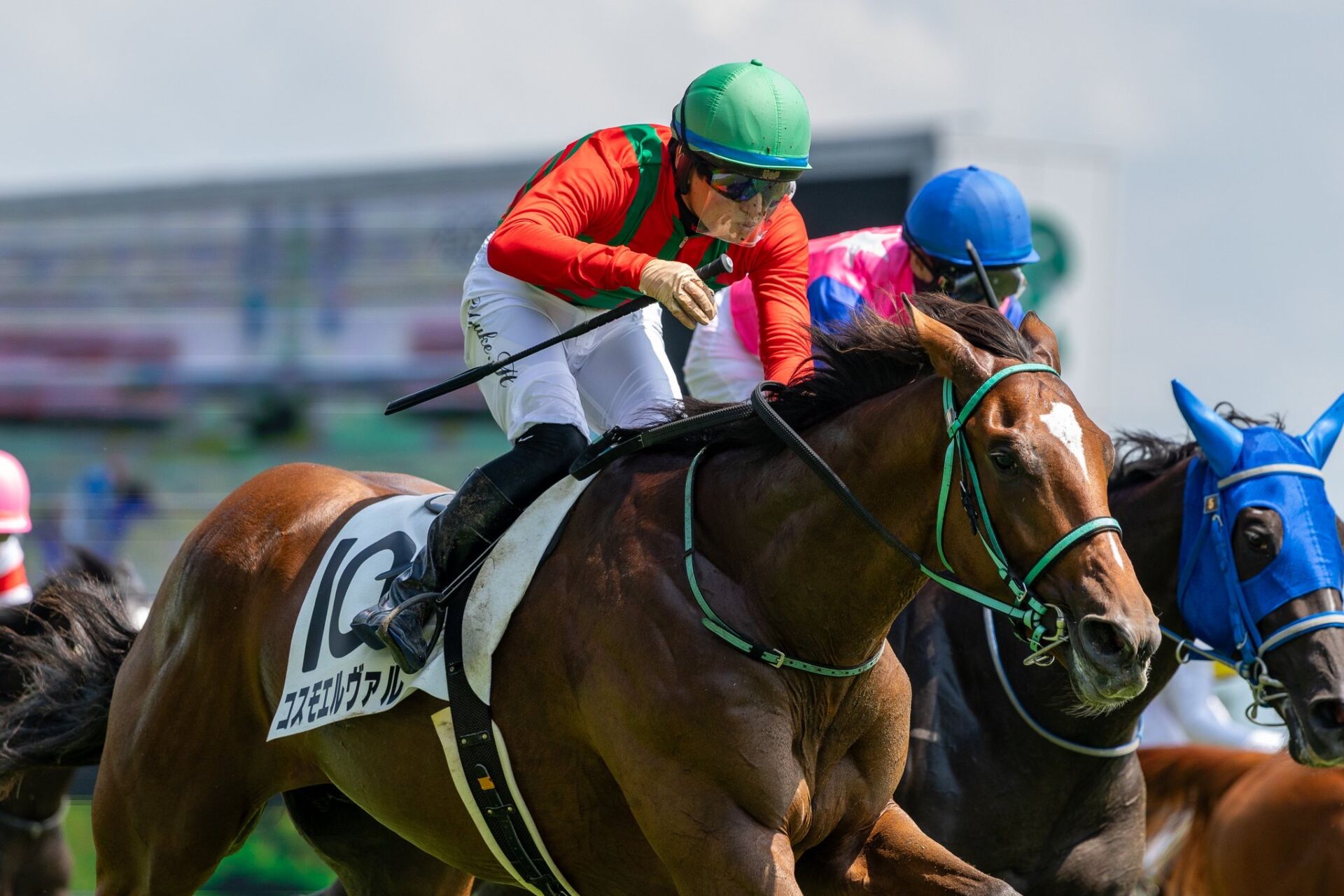 【新馬/新潟5R】コスモエルヴァルVで原優介騎手はJRA通算100勝達成 | 競馬ニュースなら競馬のおはなし