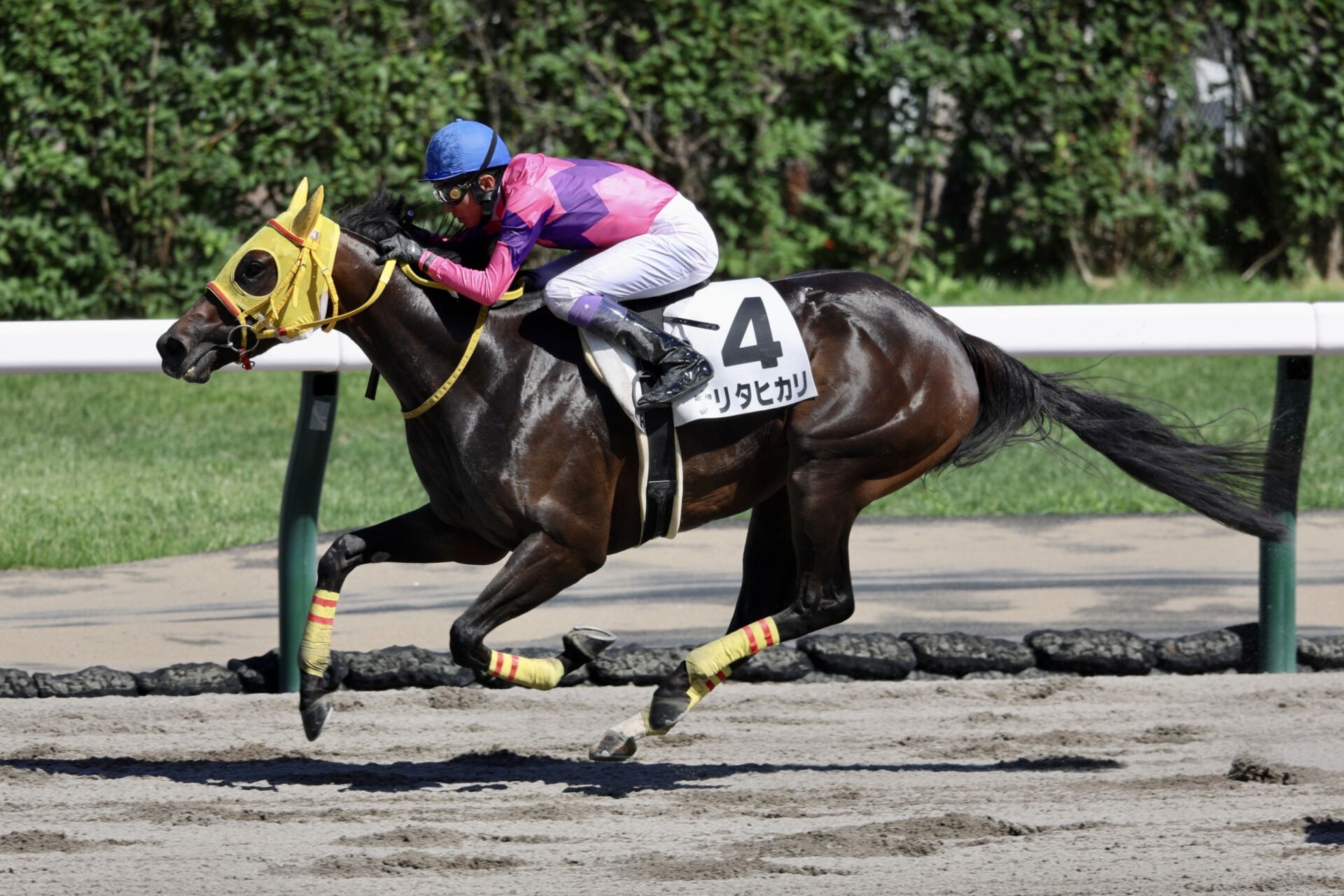 【札幌8R】武豊ナリタヒカリがVでJRA通算4600勝を達成 | 競馬ニュースなら競馬のおはなし