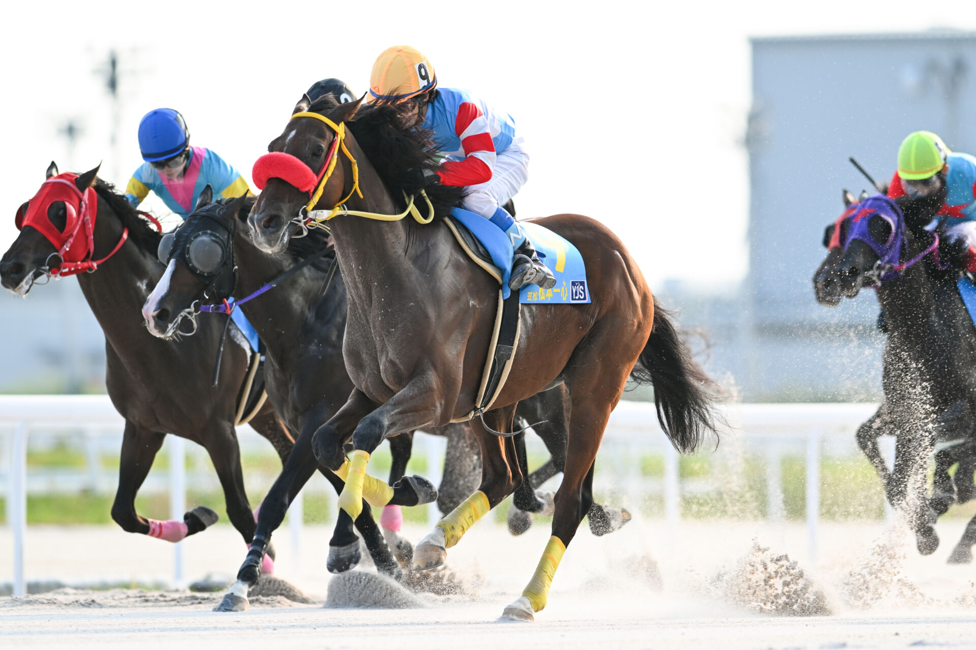 西塚＆松本が初戦V…YJSトライアル名古屋開幕 | 競馬ニュースなら競馬のおはなし