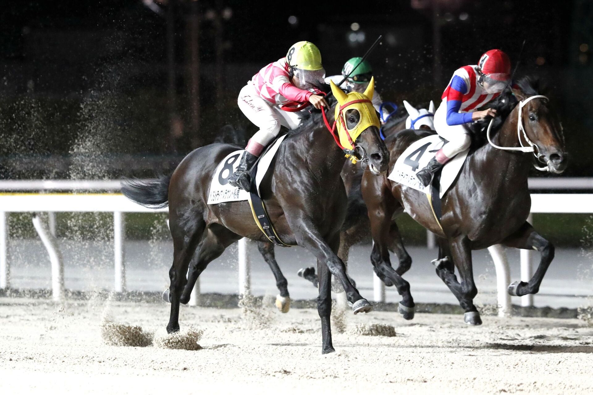 【YJSトライアル船橋】地方・山本大翔とJRA・横山琉人が白星発進 | 競馬ニュースなら競馬のおはなし