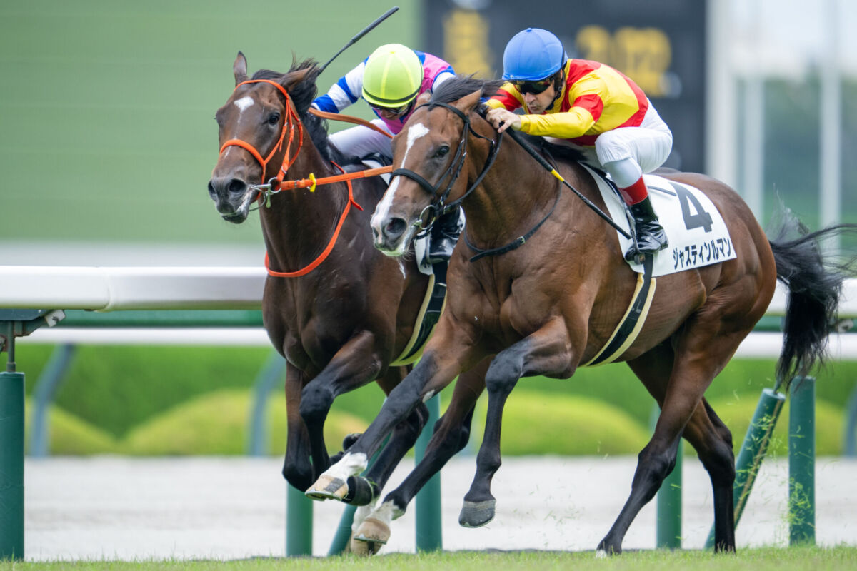 【新馬/阪神5R】ハービンジャー産駒 ブルースカイブルーがハナ差V | 競馬ニュースなら競馬のおはなし