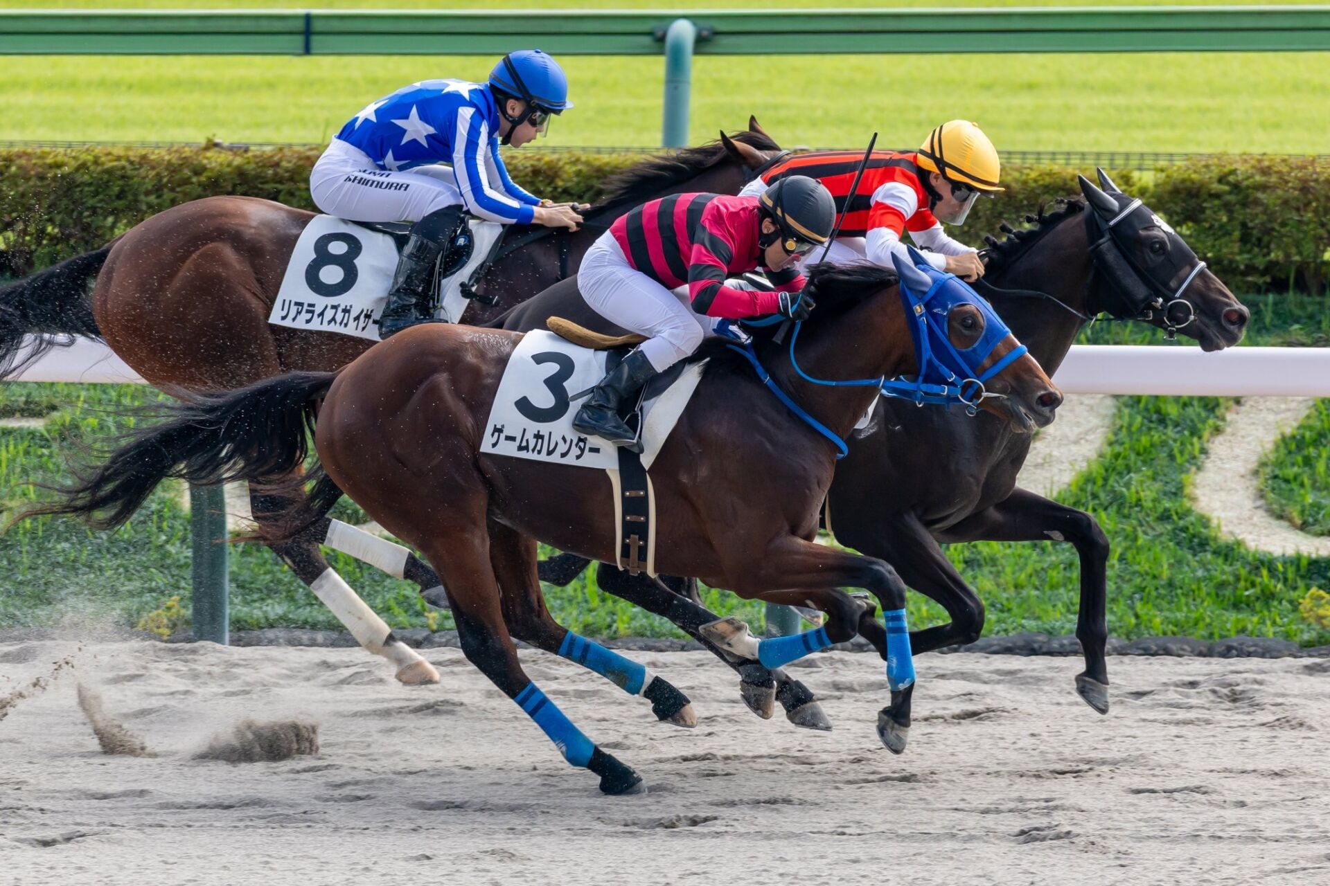 【新馬/東京6R】10番人気ゲームカレンダーの末脚が炸裂 | 競馬ニュースなら競馬のおはなし