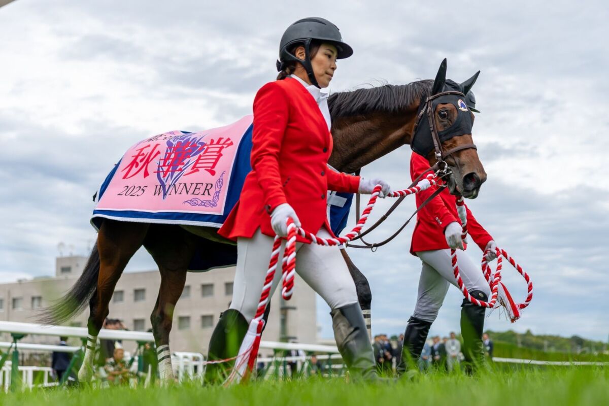 WIN5でJRA史上最高配当を記録…新潟競馬でもワイド最高額更新 | 競馬ニュースなら競馬のおはなし