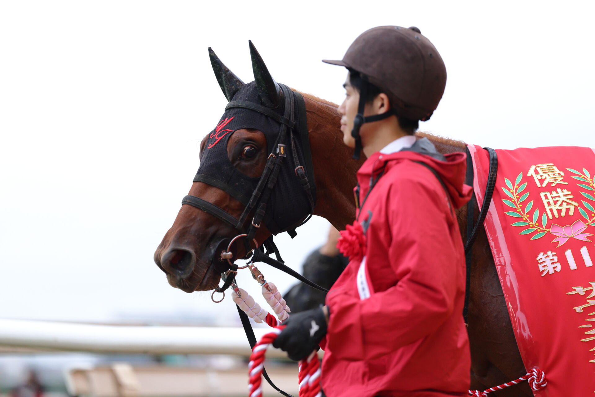 WIN5は114万円超の払戻し…サウジアラビアRCはエコロアルバがV | 競馬ニュースなら競馬のおはなし
