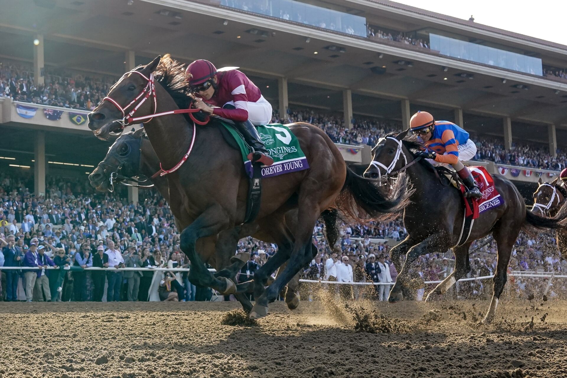 【BCクラシック】フィアースネス、最内の呪縛で3着…日本馬フォーエバーヤングの影を追う形に | 競馬ニュースなら競馬のおはなし
