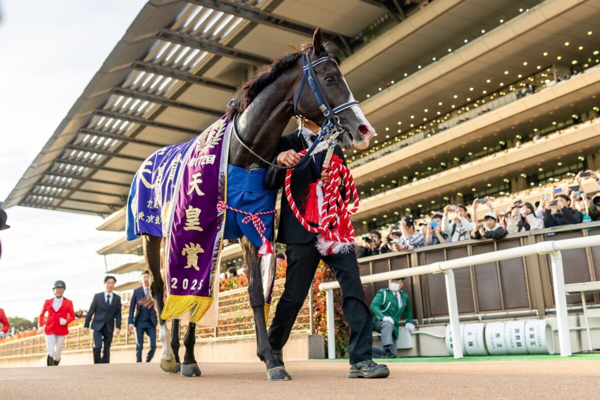 WIN5は713万円超の払戻し…天皇賞・秋はマスカレードボールがV | 競馬ニュースなら競馬のおはなし