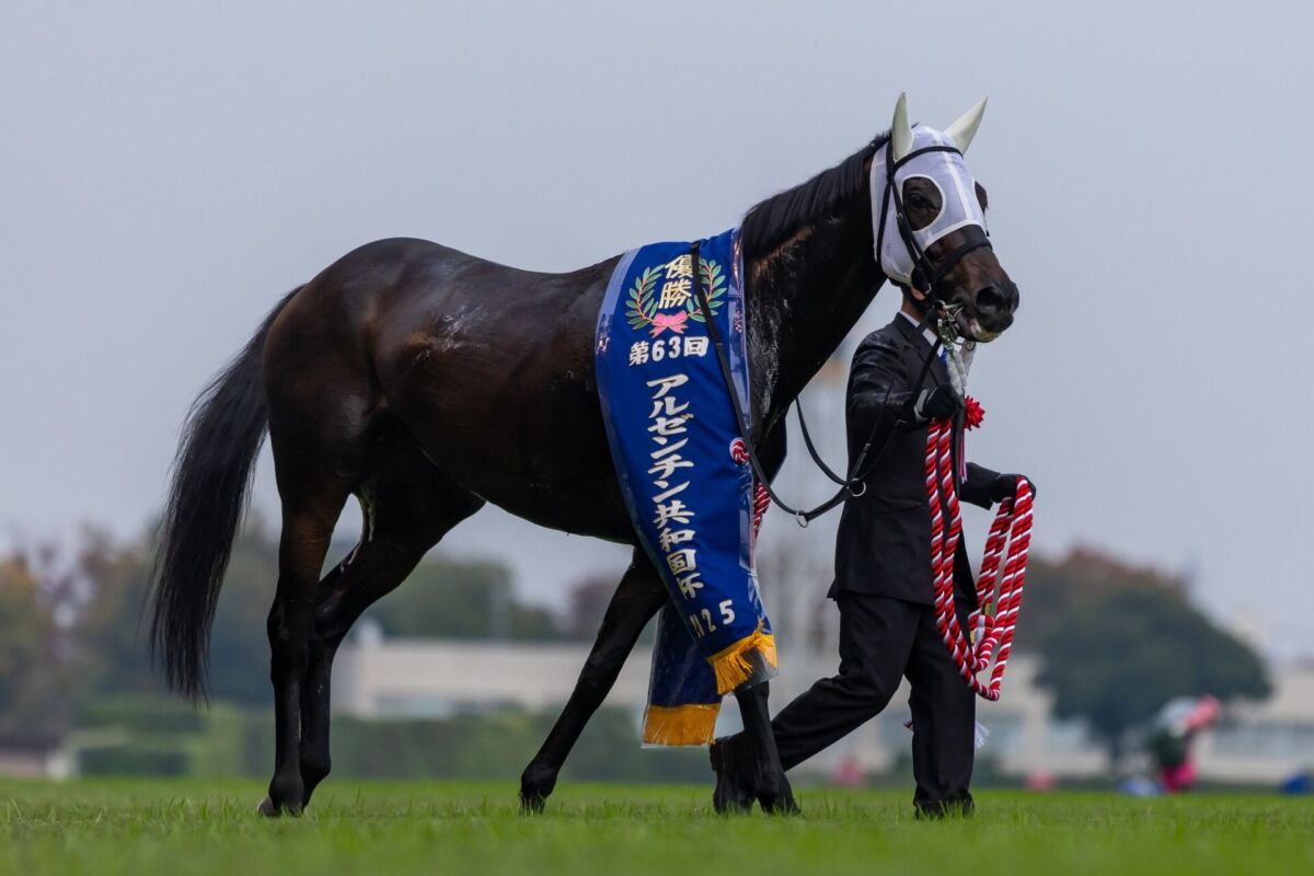 WIN5は554万円超の払戻し…アルゼンチン共和国杯は伏兵ミステリーウェイがV | 競馬ニュースなら競馬のおはなし