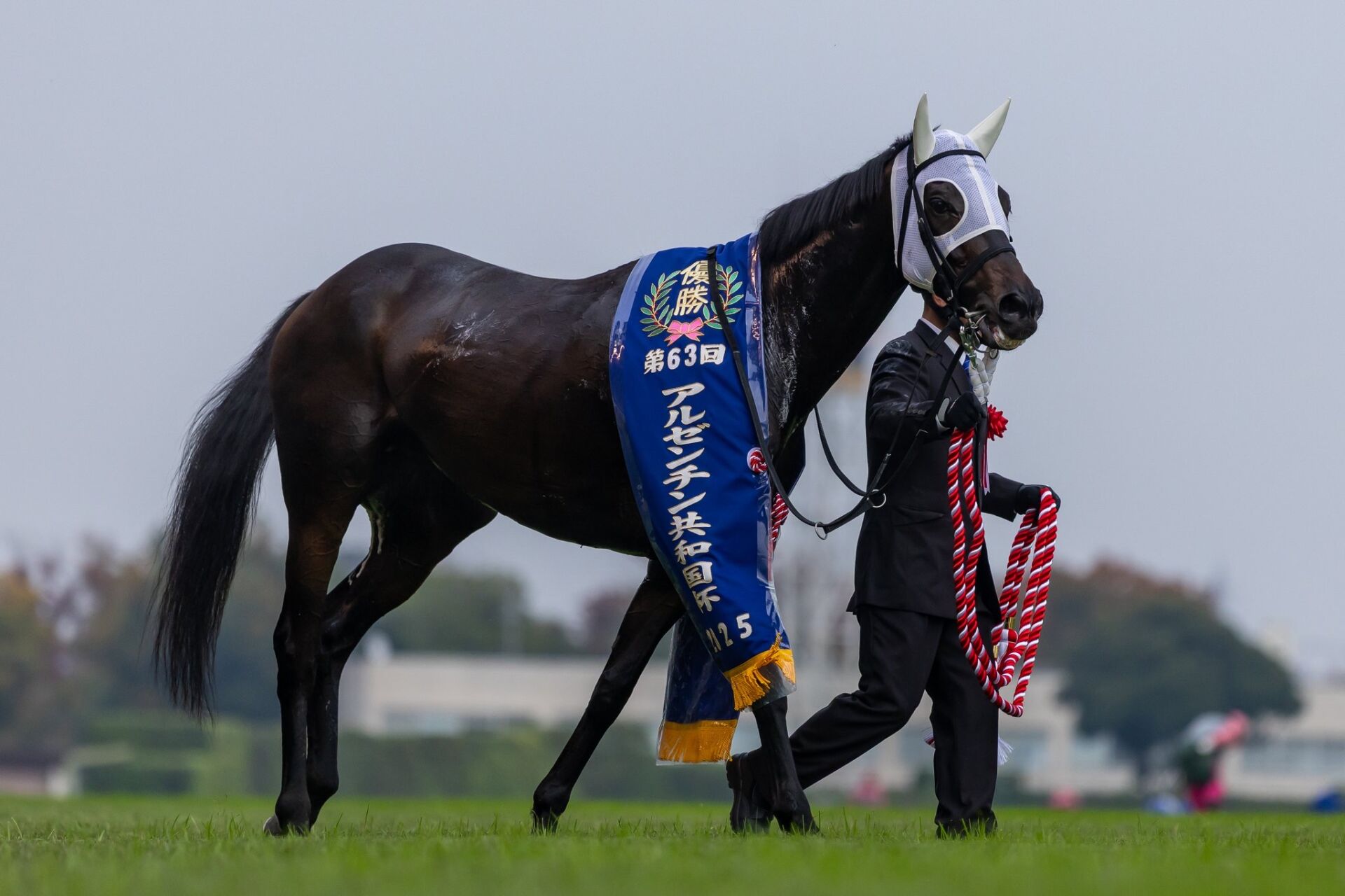 WIN5は554万円超の払戻し…アルゼンチン共和国杯は伏兵ミステリーウェイがV | 競馬ニュースなら競馬のおはなし