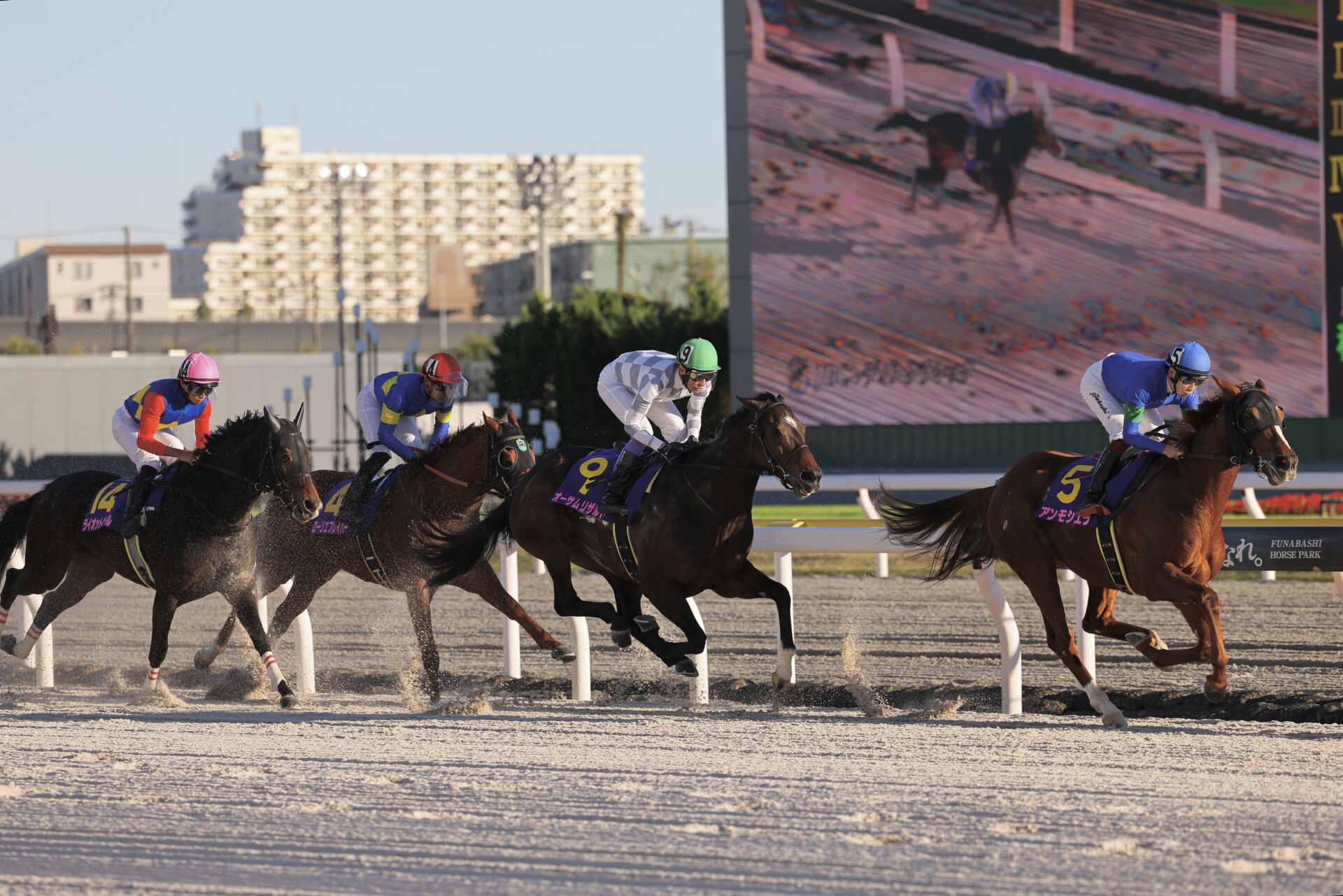 【JBCレディスクラシック】武豊「本来のこの馬じゃない」レース後ジョッキーコメント（競馬のおはなし）｜dメニューニュース（NTTドコモ）