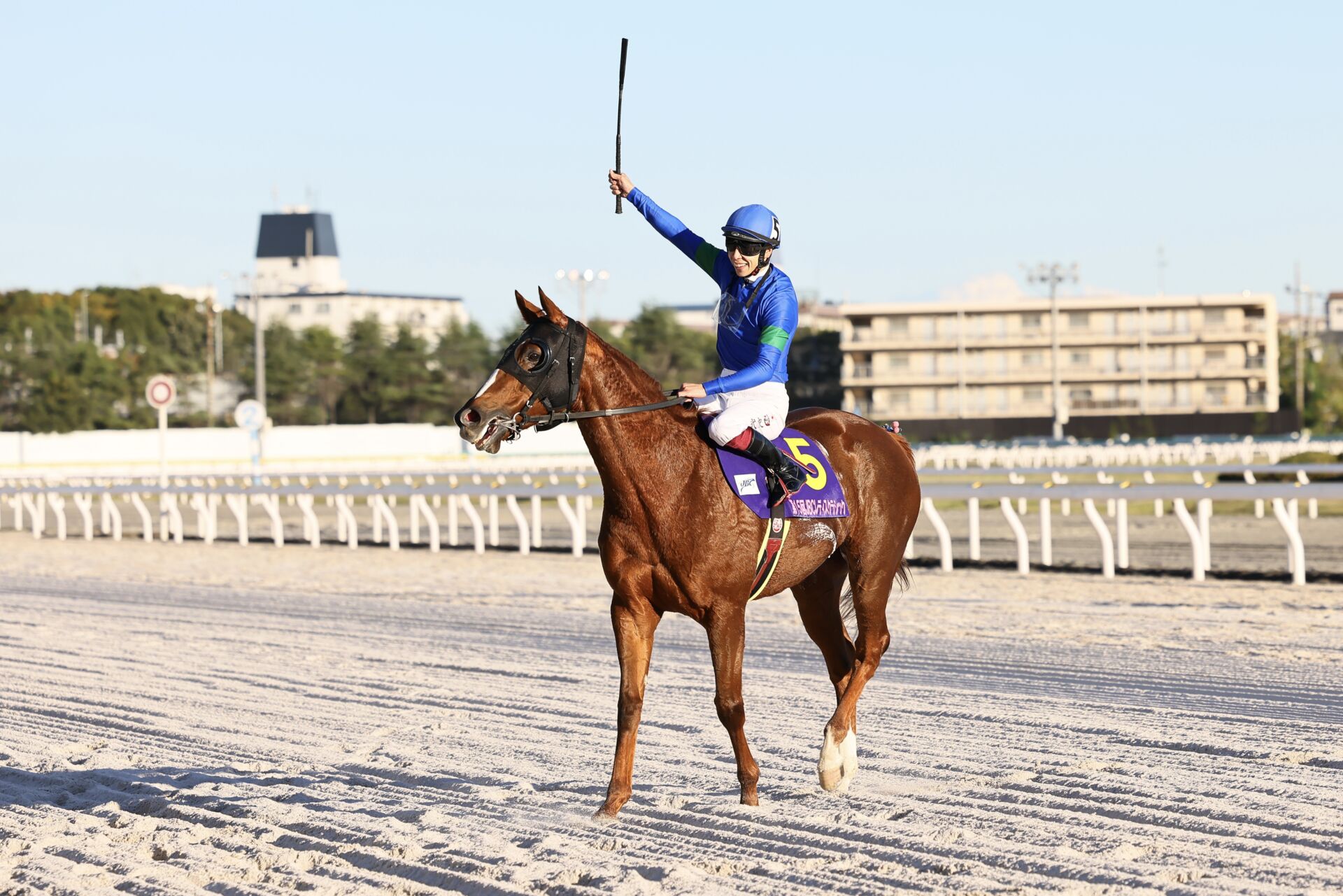 【JBCレディスクラシック】武豊「手応えが急になくなった」オーサムリザルト復活Vならず（競馬のおはなし）｜dメニューニュース（NTTドコモ）