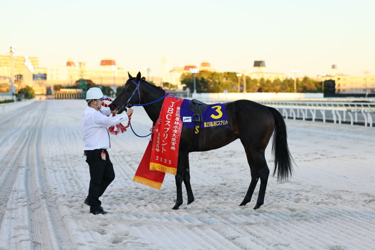 【JBCスプリント】荒山師「来年は海外も視野に」大井所属ファーンヒルが鮮やか逃げきりV | 競馬ニュースなら競馬のおはなし
