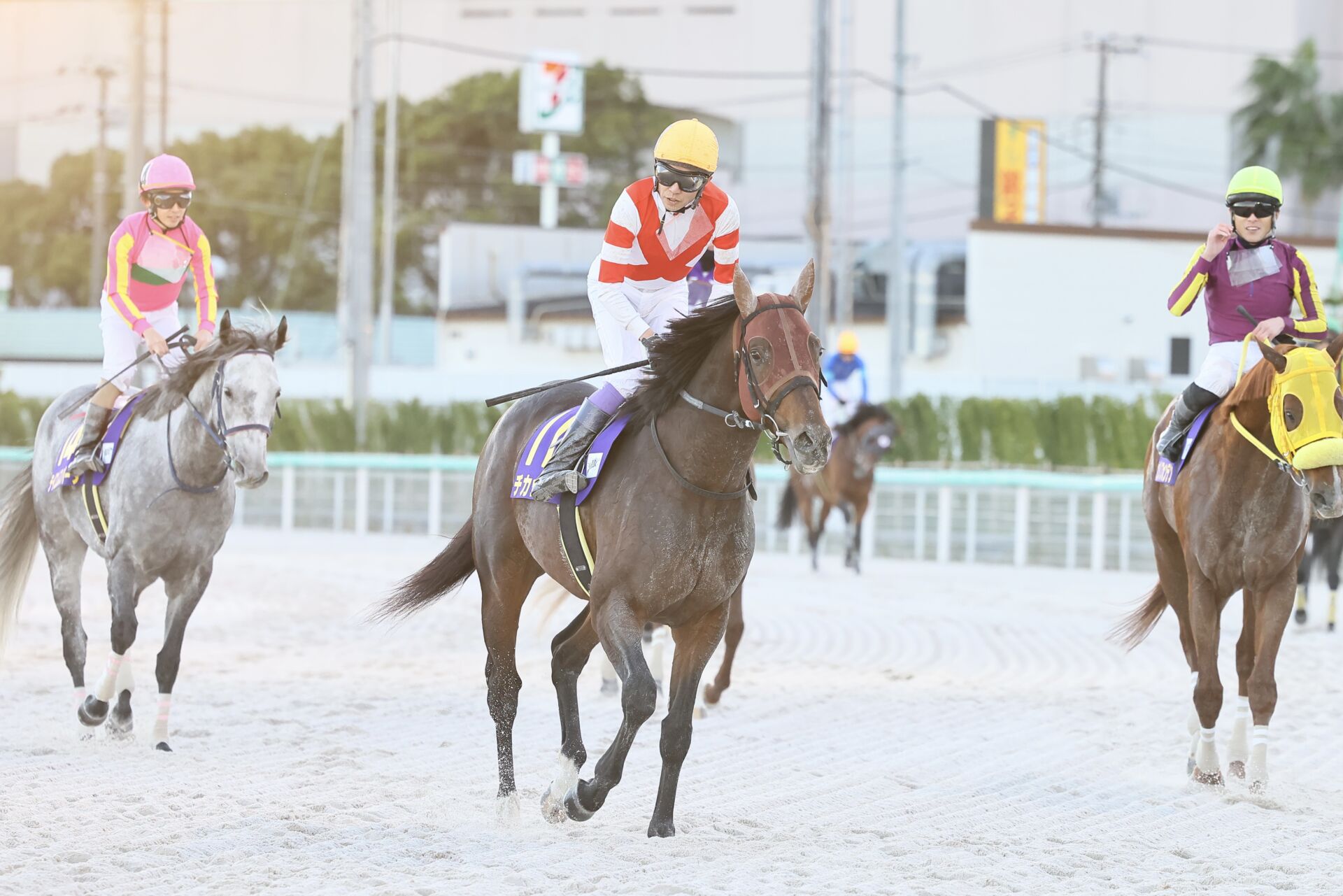 【JBCスプリント】武豊「またすぐチャンスがある」チカッパは4着 | 競馬ニュースなら競馬のおはなし