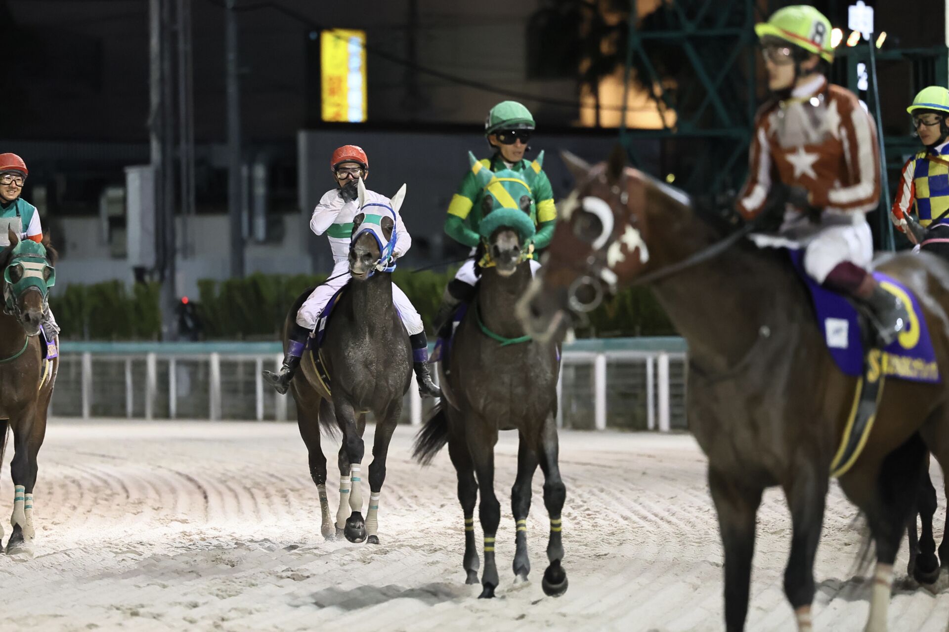 【JBCクラシック】坂井瑠「広いコースならまた巻き返せる」レース後ジョッキーコメント（競馬のおはなし）｜dメニューニュース（NTTドコモ）