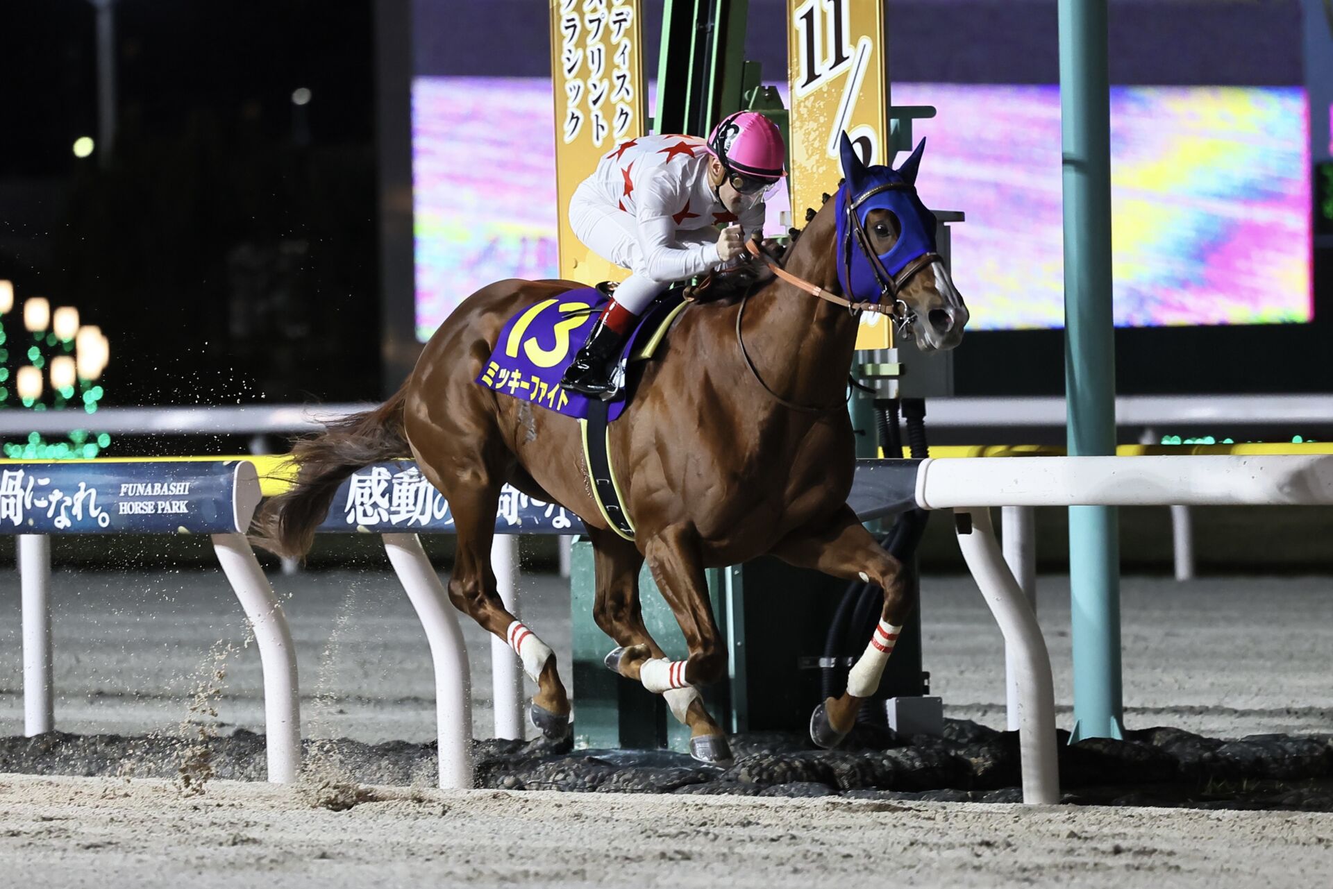 【JBCクラシック】坂井瑠「広いコースならまた巻き返せる」レース後ジョッキーコメント（競馬のおはなし）｜dメニューニュース（NTTドコモ）
