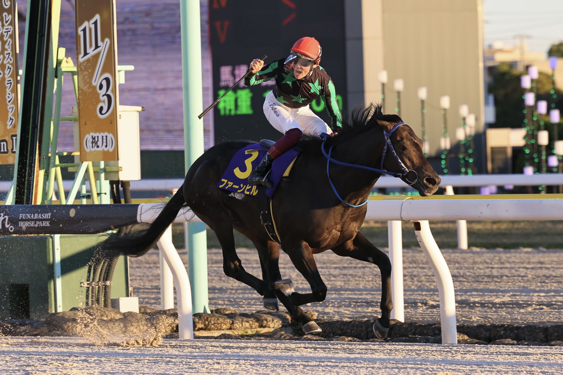 【JBCスプリント】荒山師「来年は海外も視野に」大井所属ファーンヒルが鮮やか逃げきりV | 競馬ニュースなら競馬のおはなし