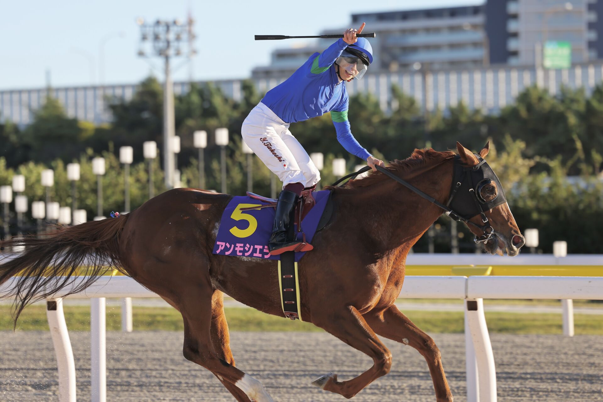 【JBCレディスクラシック】松山「きょうもゲートが響いた」テンカジョウは追い込むも2着まで（競馬のおはなし）｜dメニューニュース（NTTドコモ）